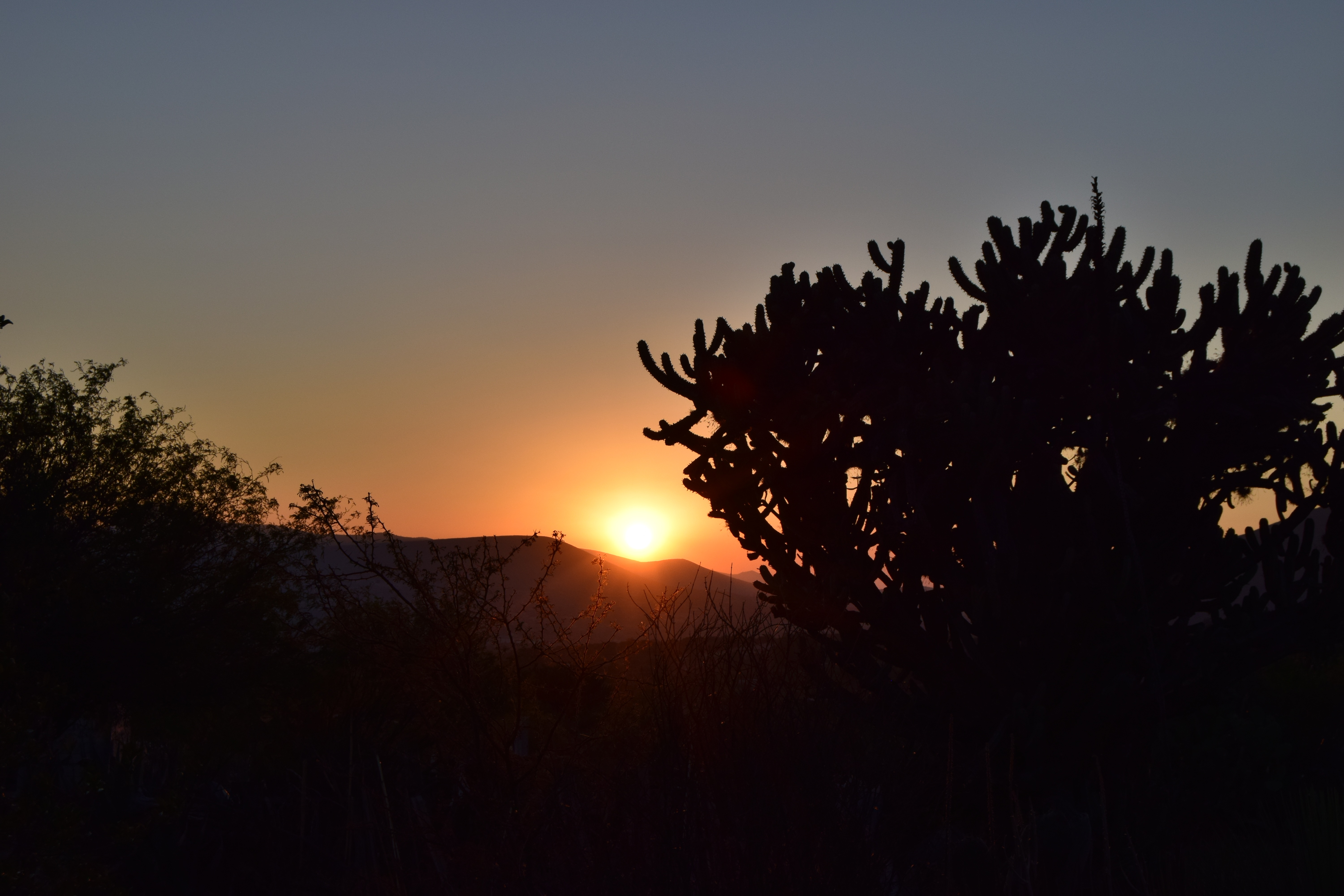 Afternoon Sunset Sun free image download