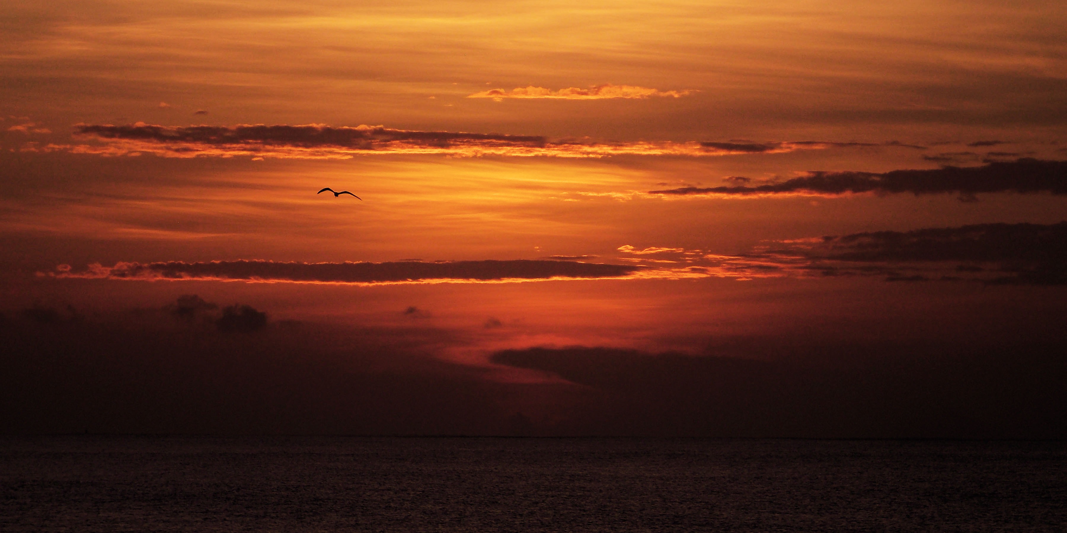 Dawn Light free image download