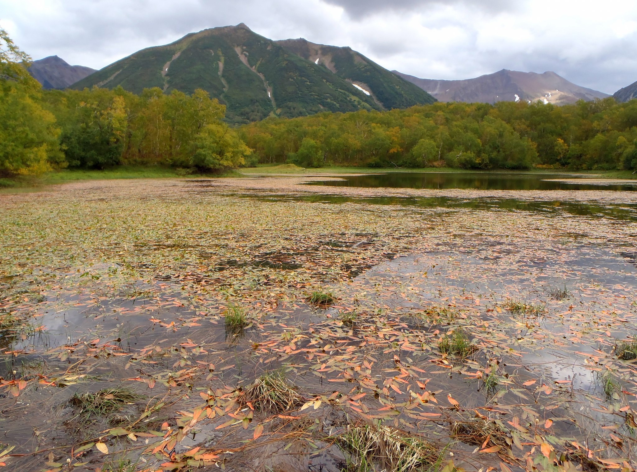 Mountains Valley kamchatka free image download