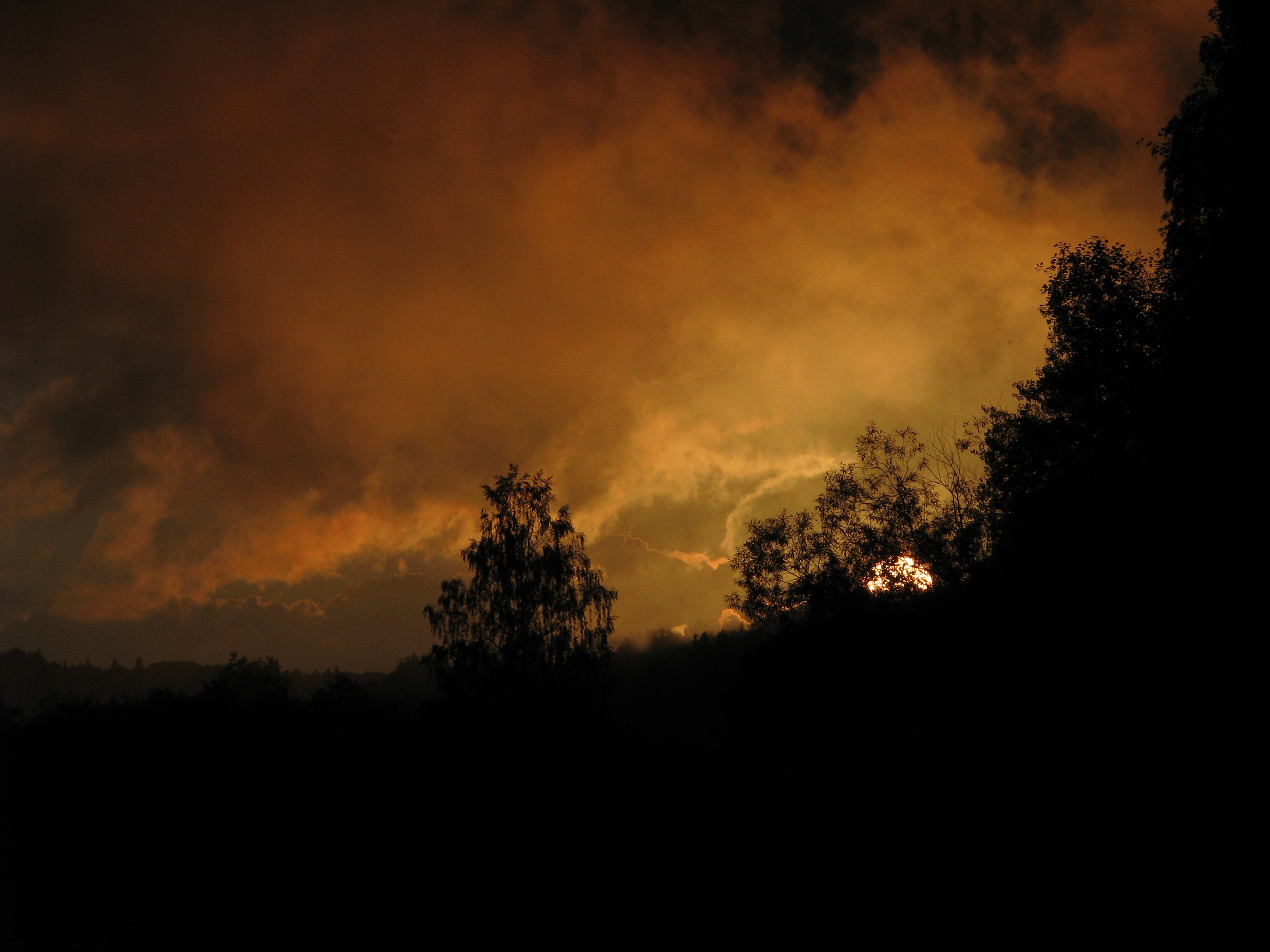 The Evening Sunset in Perm krai free image download