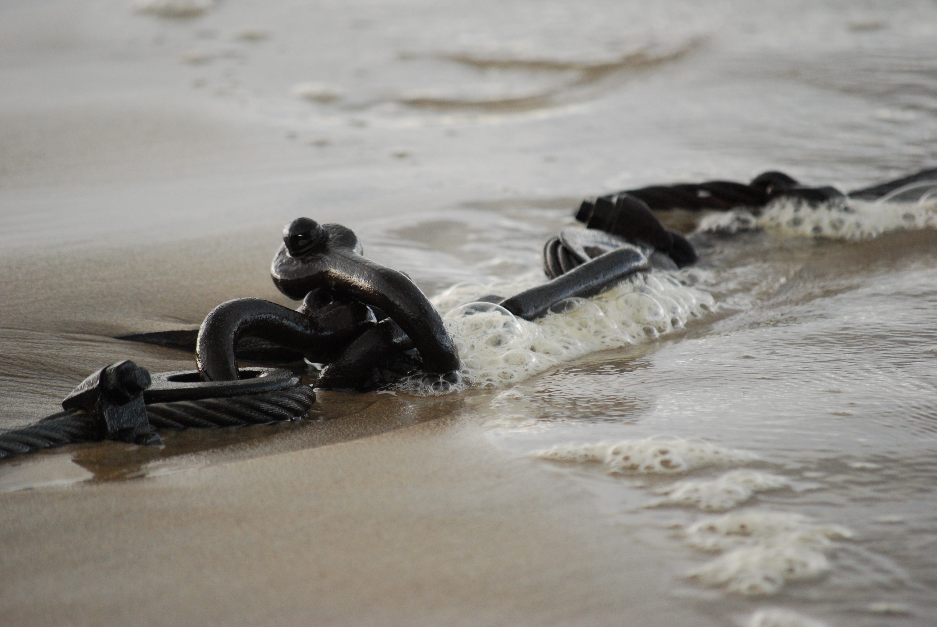 Poland Balt Sea free image download