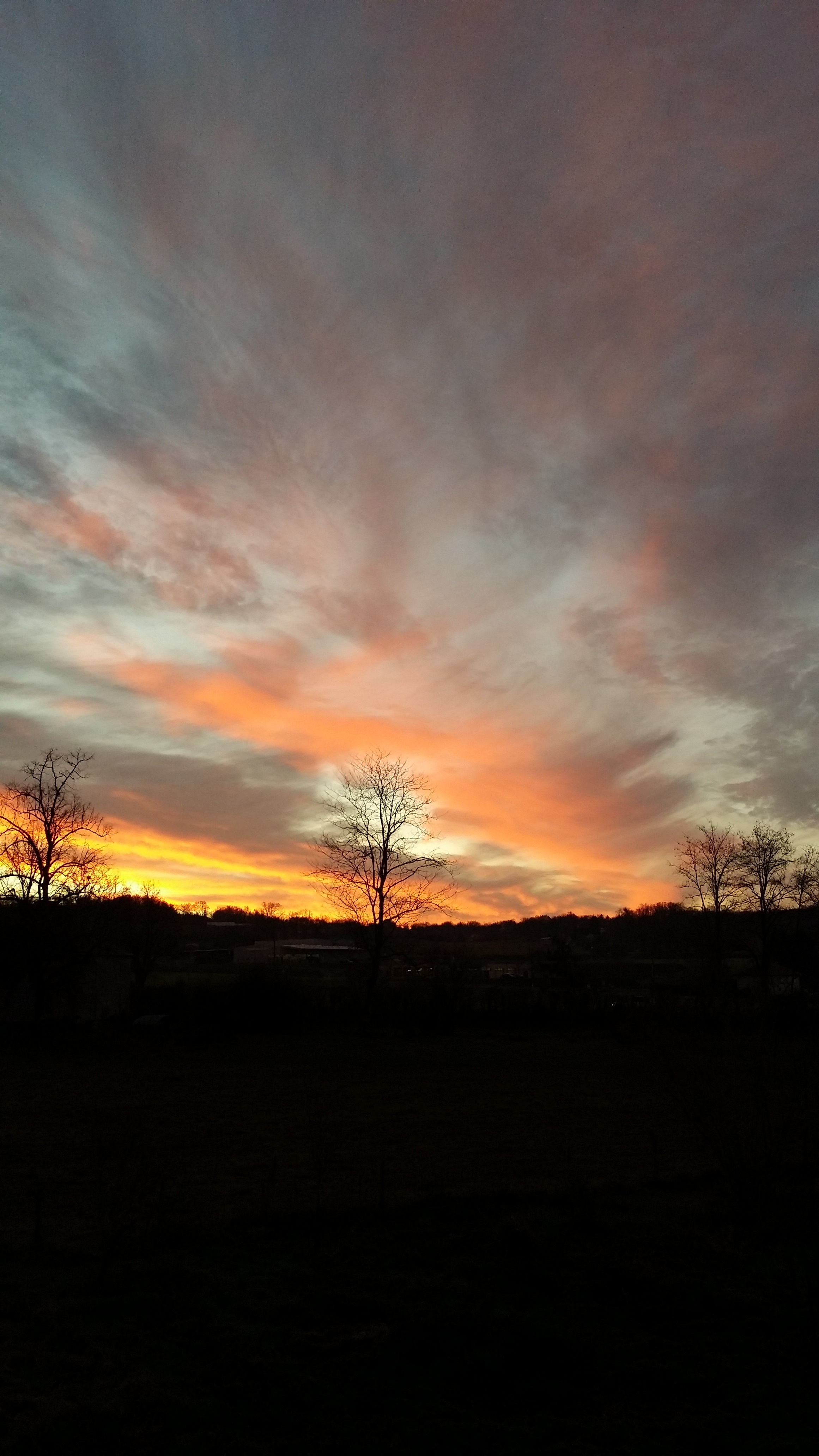 Sun Sunset Twilight Nature free image download