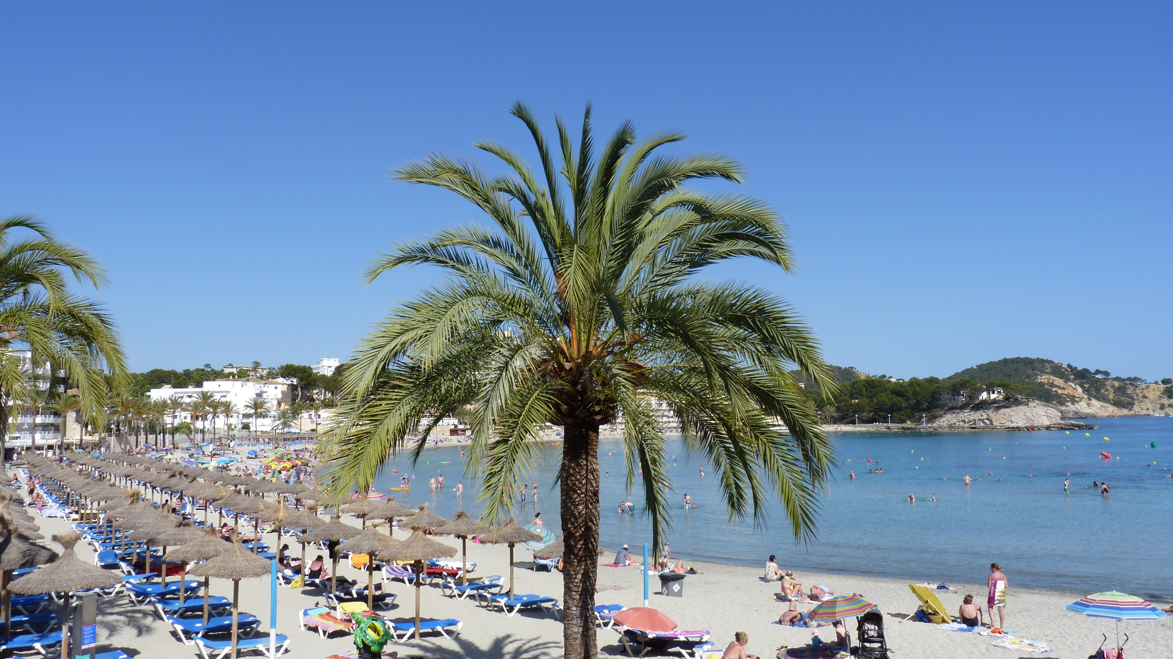 Summer Sun Beach free image download