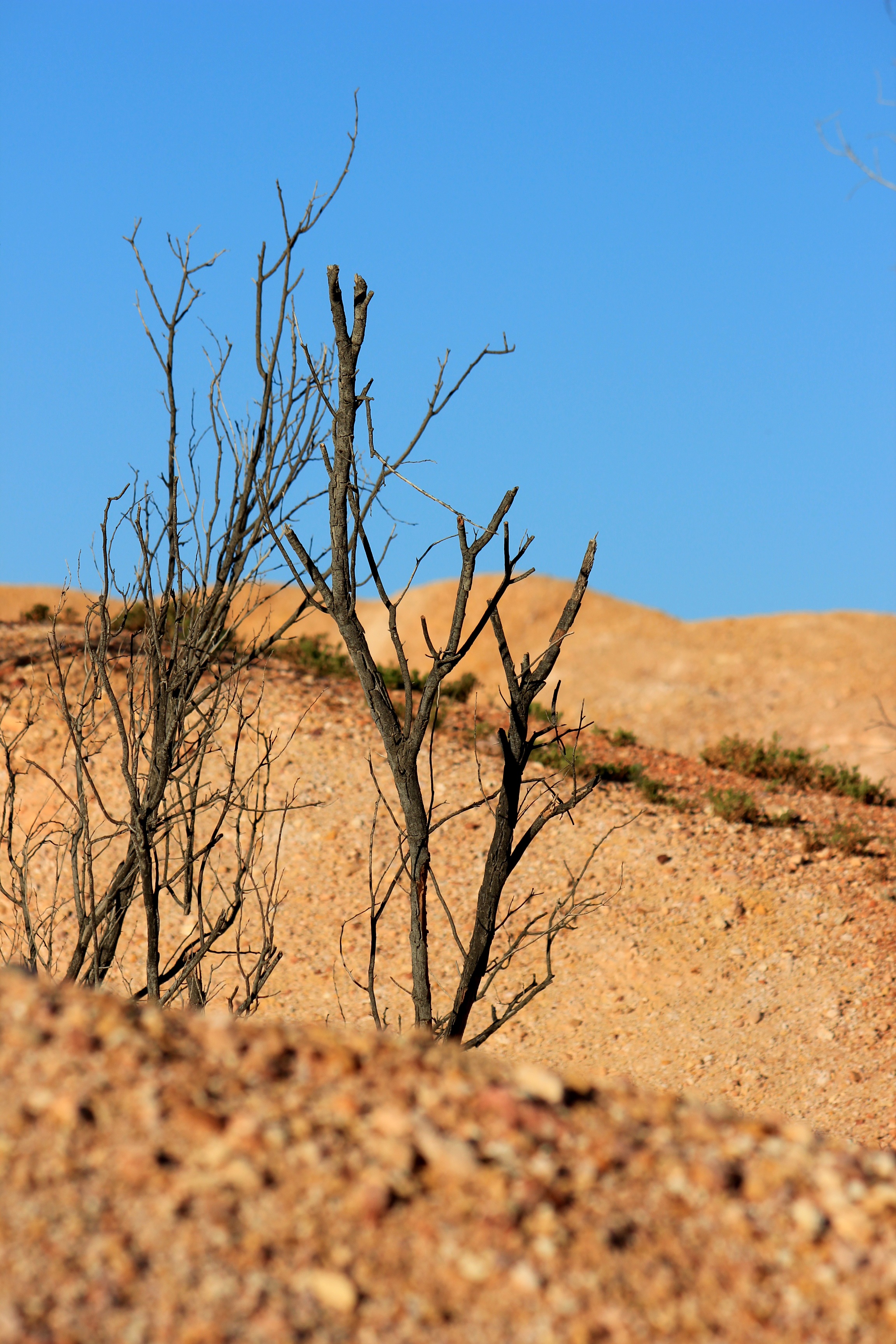 Australia Outback Landscape free image download