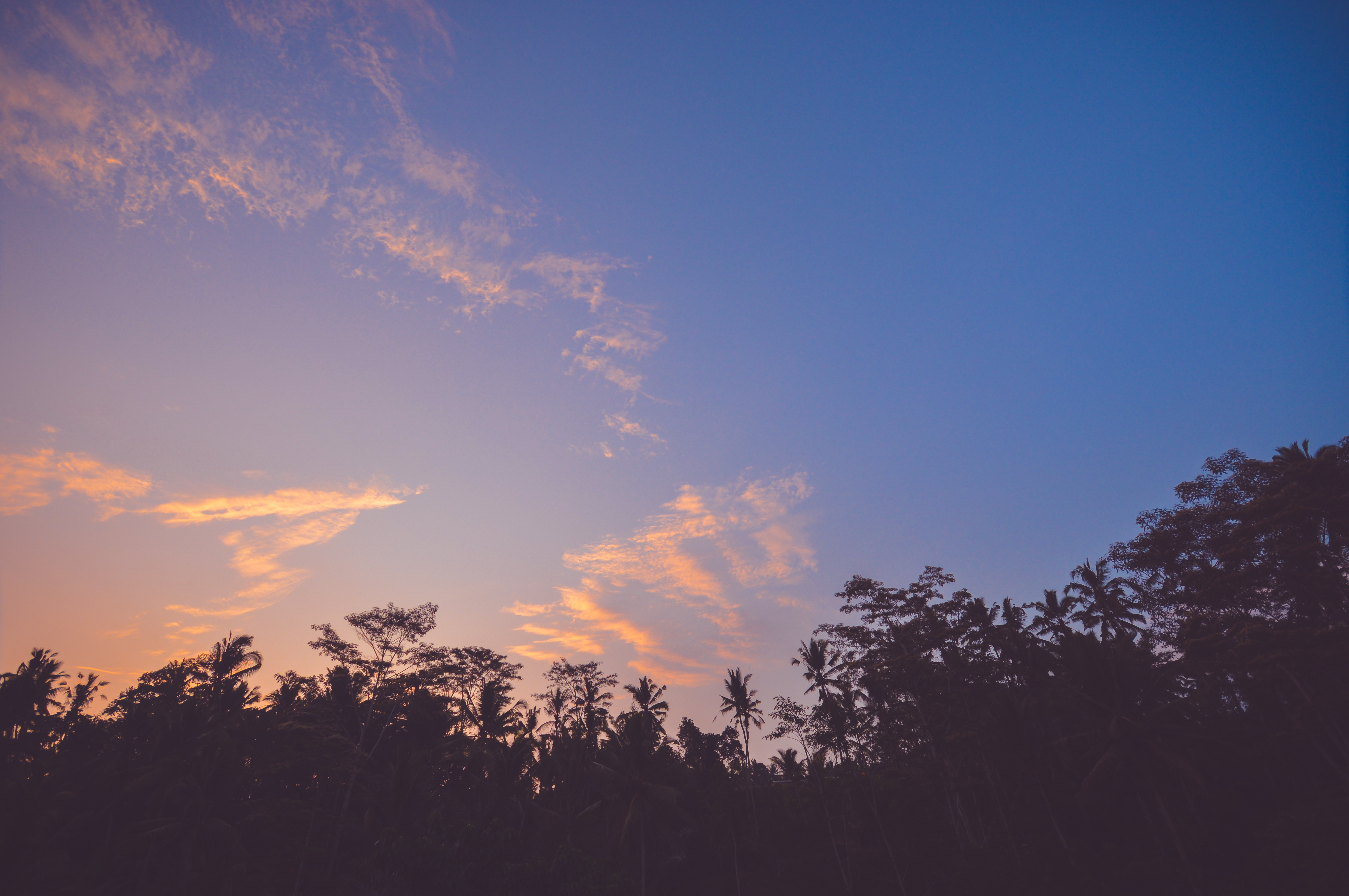 Sunset Dusk Sky free image download