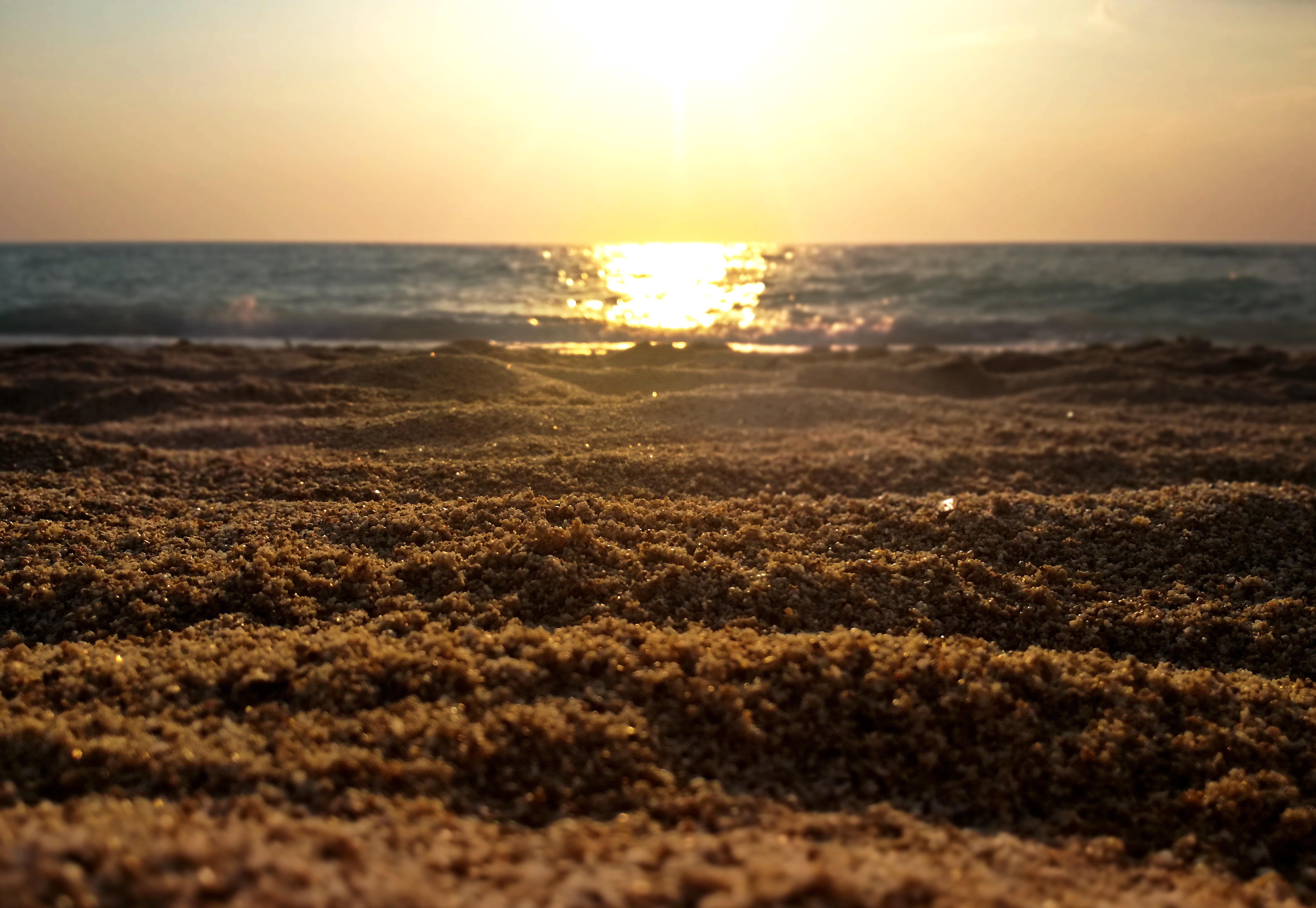 Sand sea Beach at Sunset, low angle view free image download