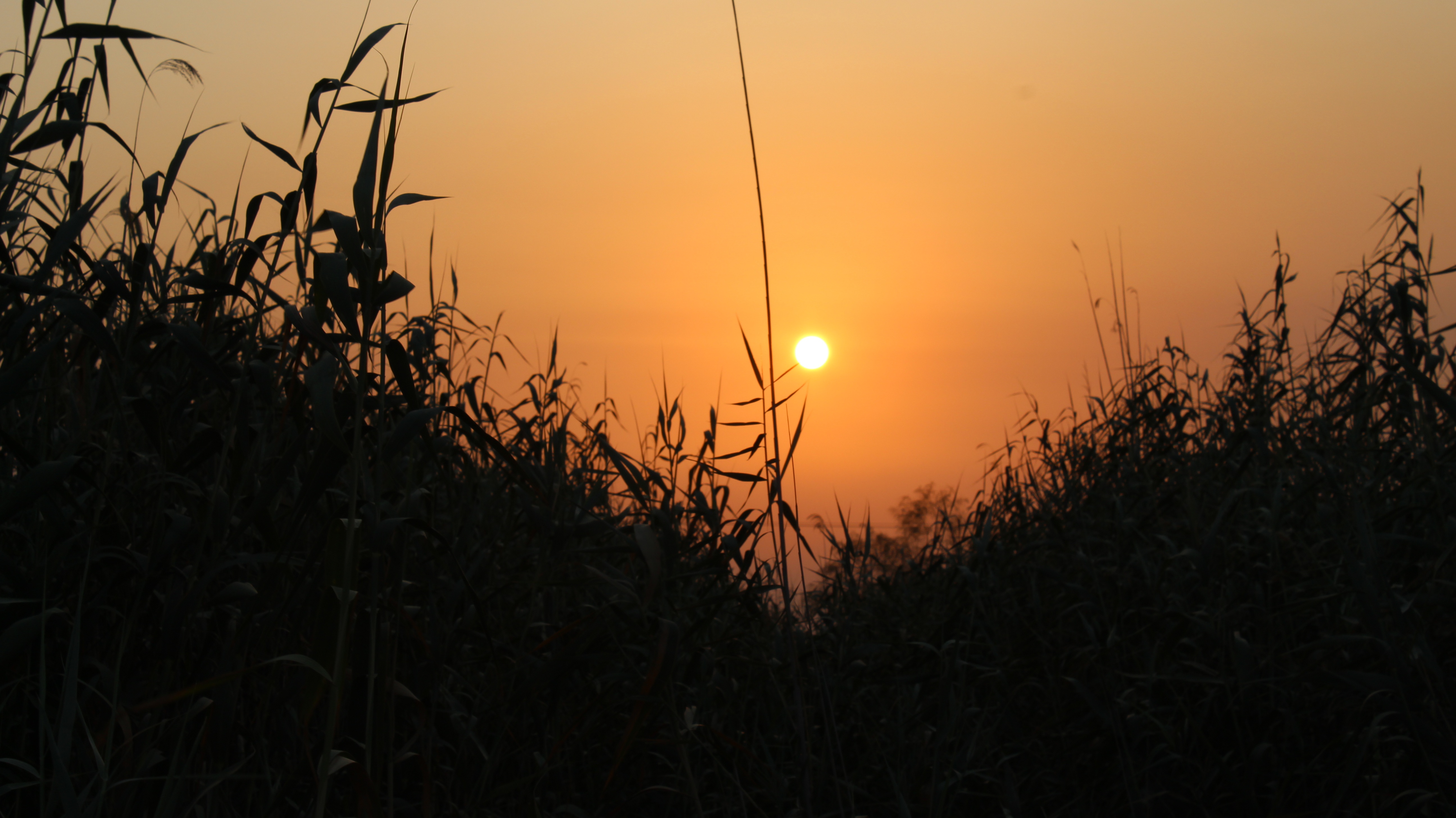 Sunset Farm free image download