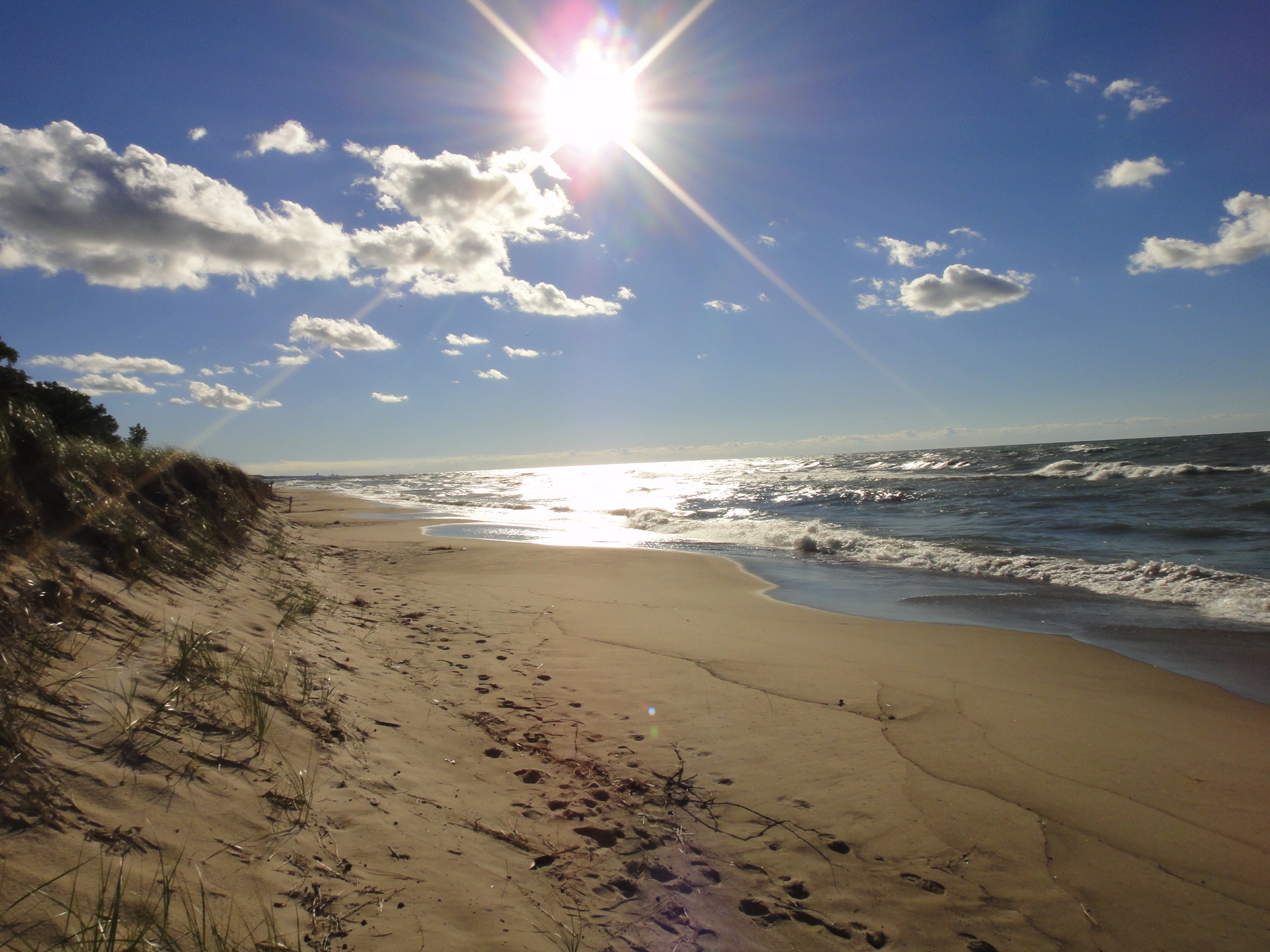 Beach Sun free image download