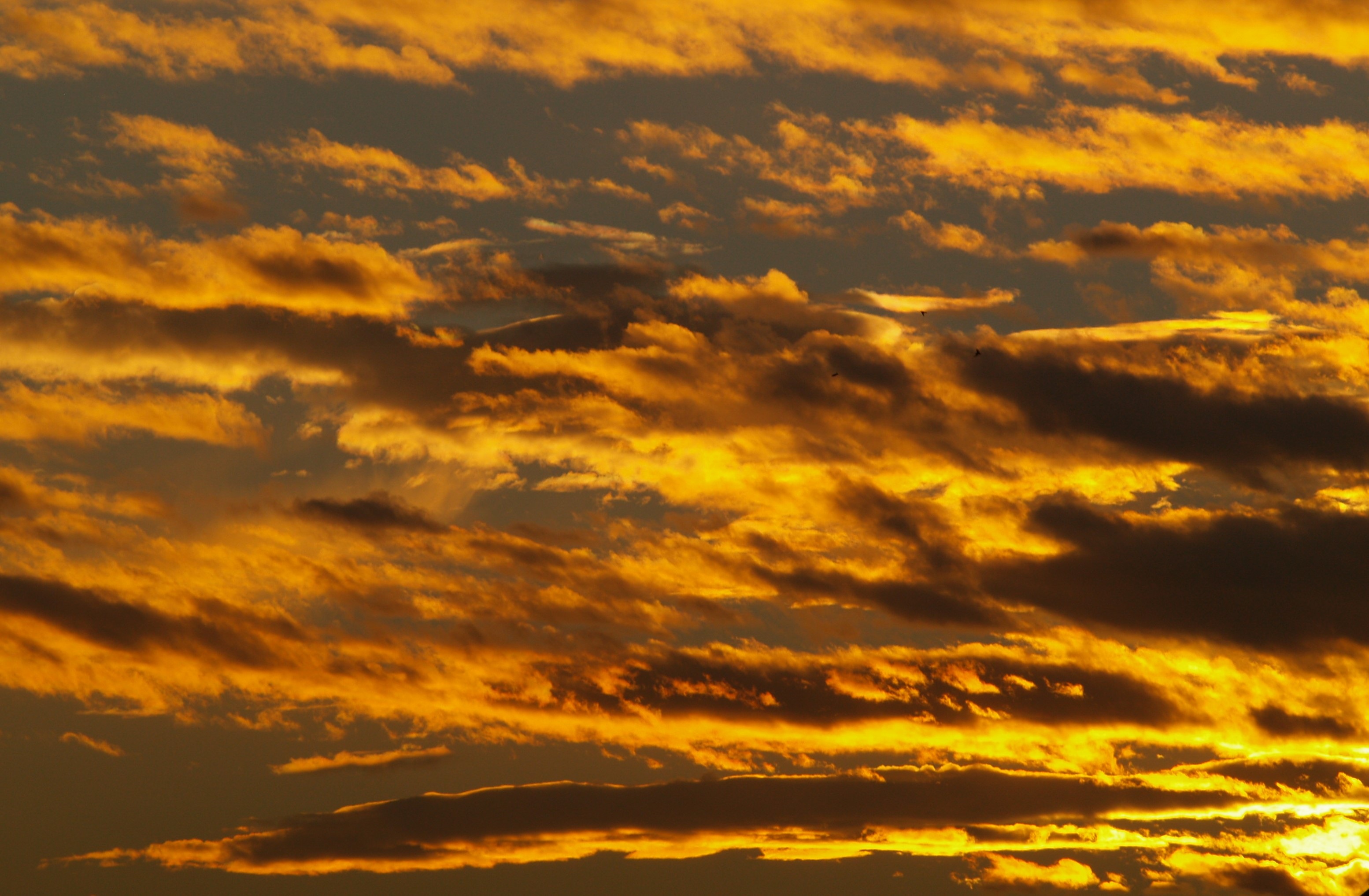 Golden Sunset Sky view free image download