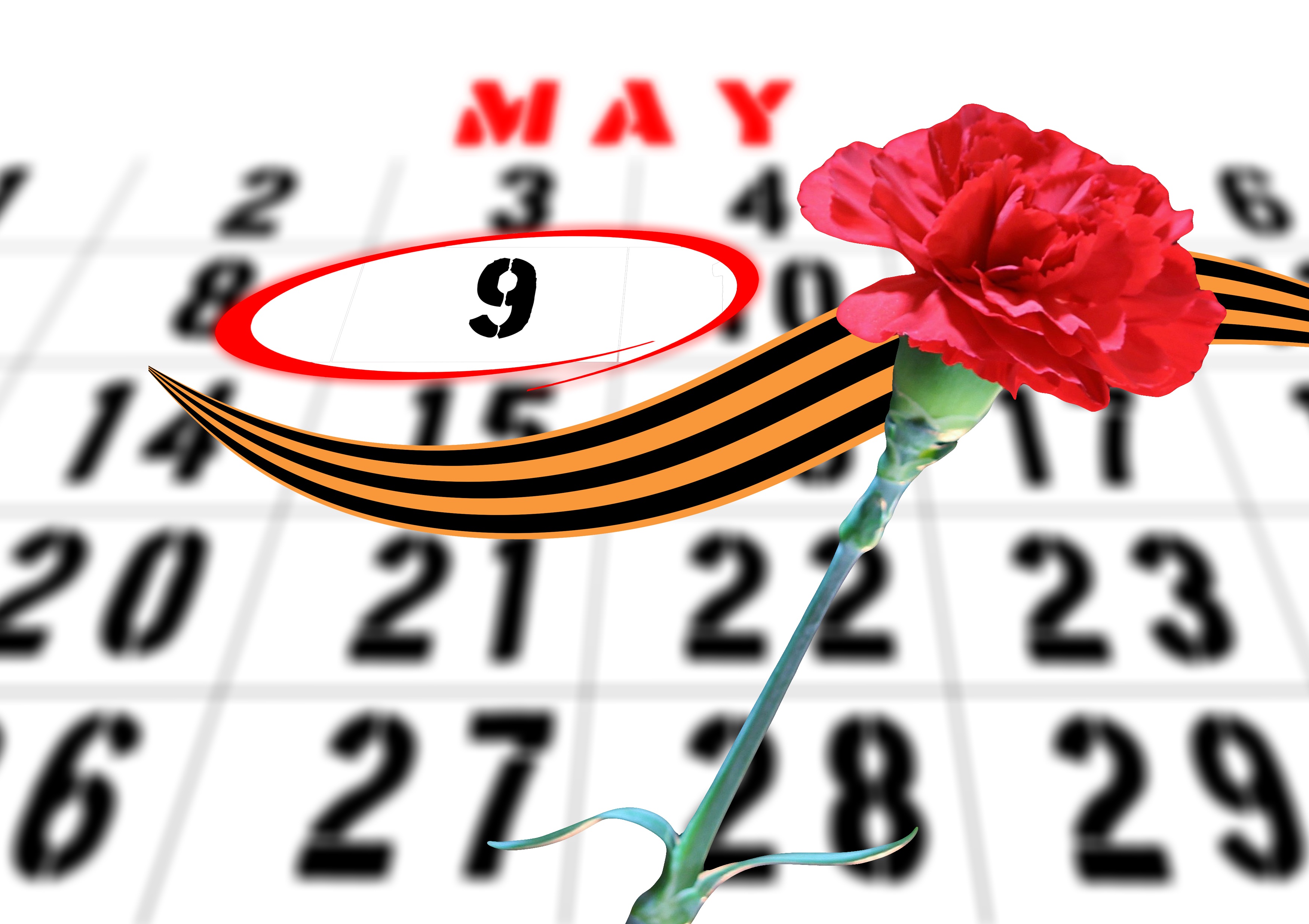 Victory day russia holiday may free image download