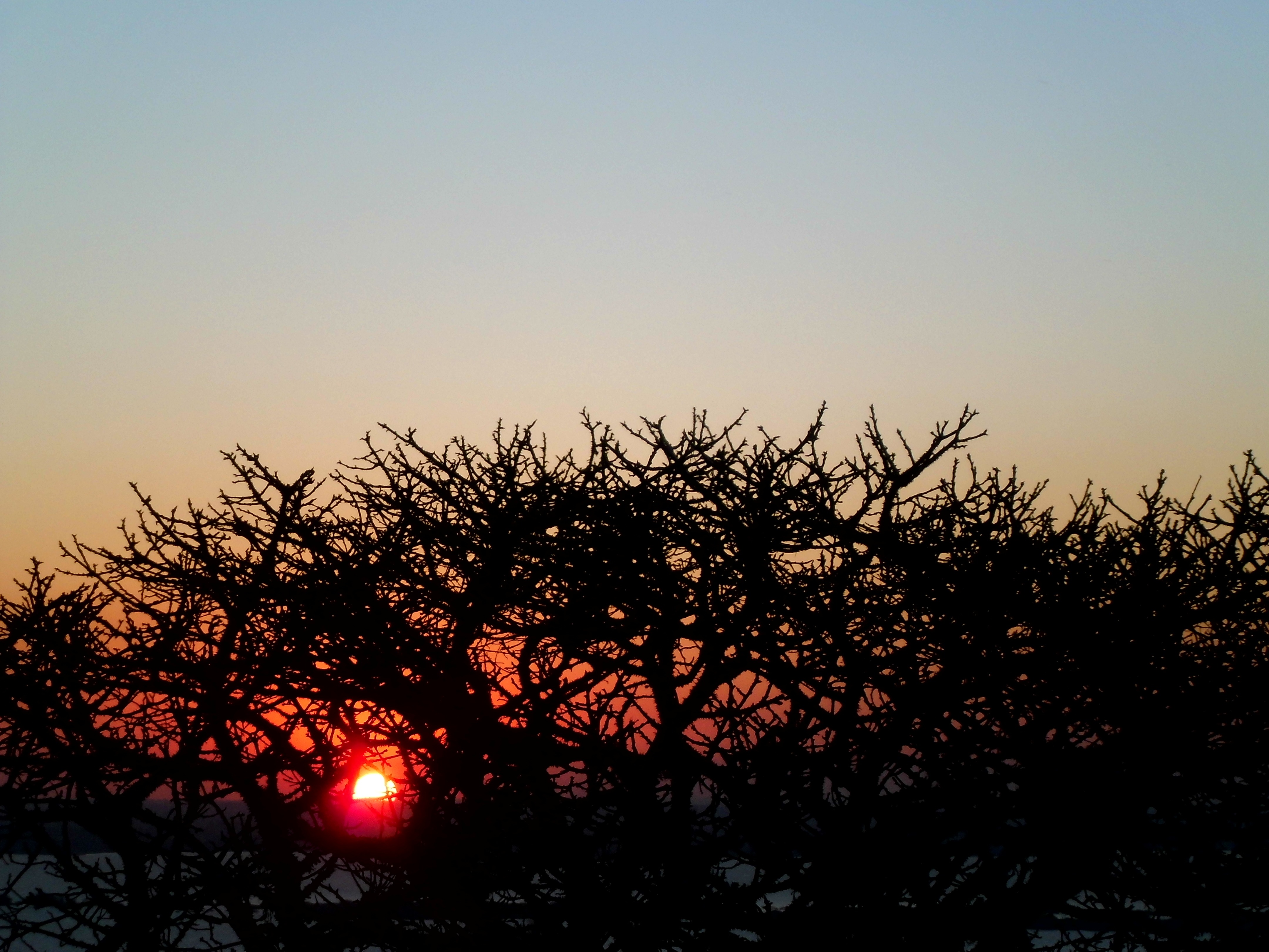 Sky Red Sunset free image download