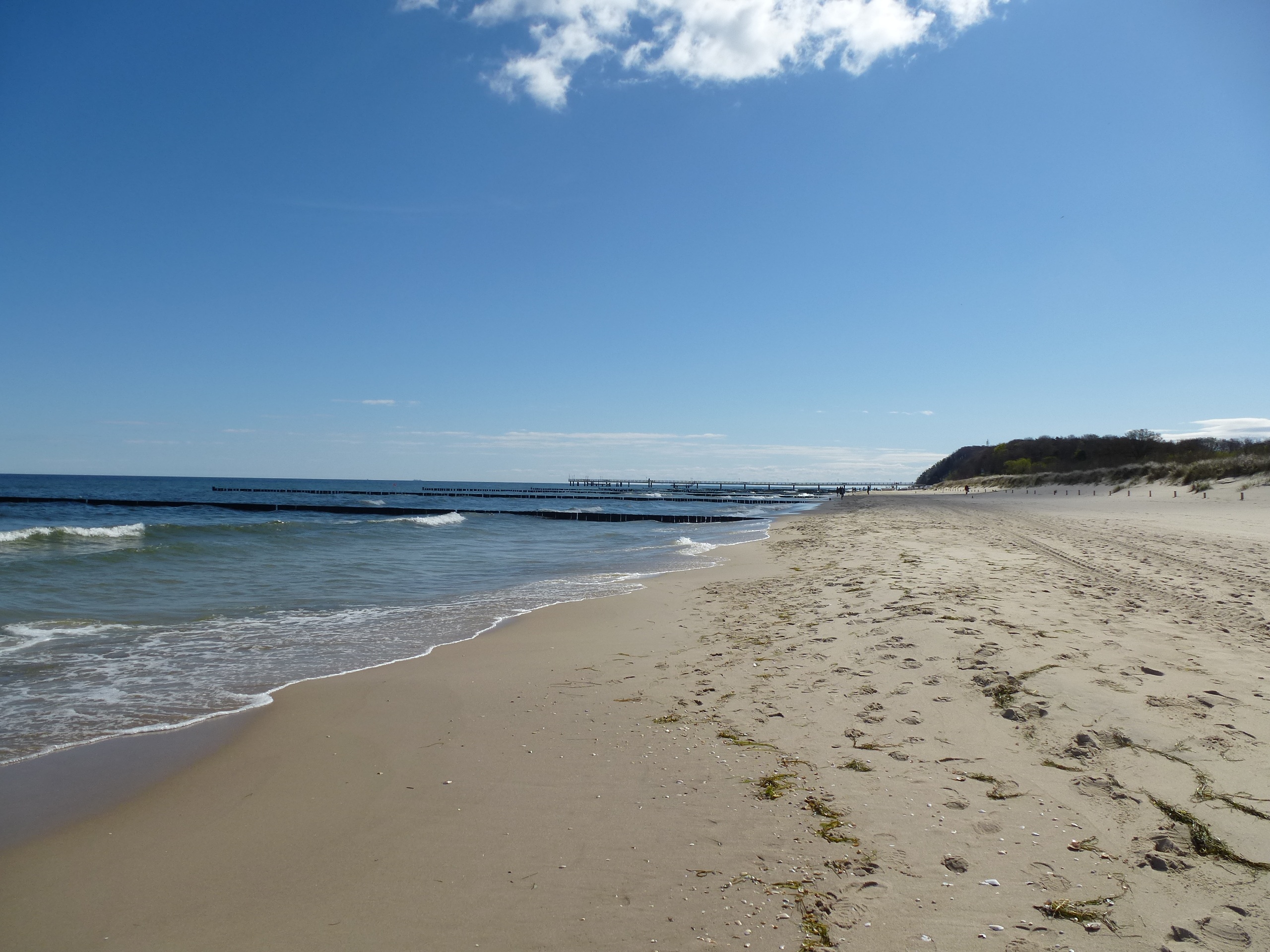 Baltic Sea Beach Usedom free image download