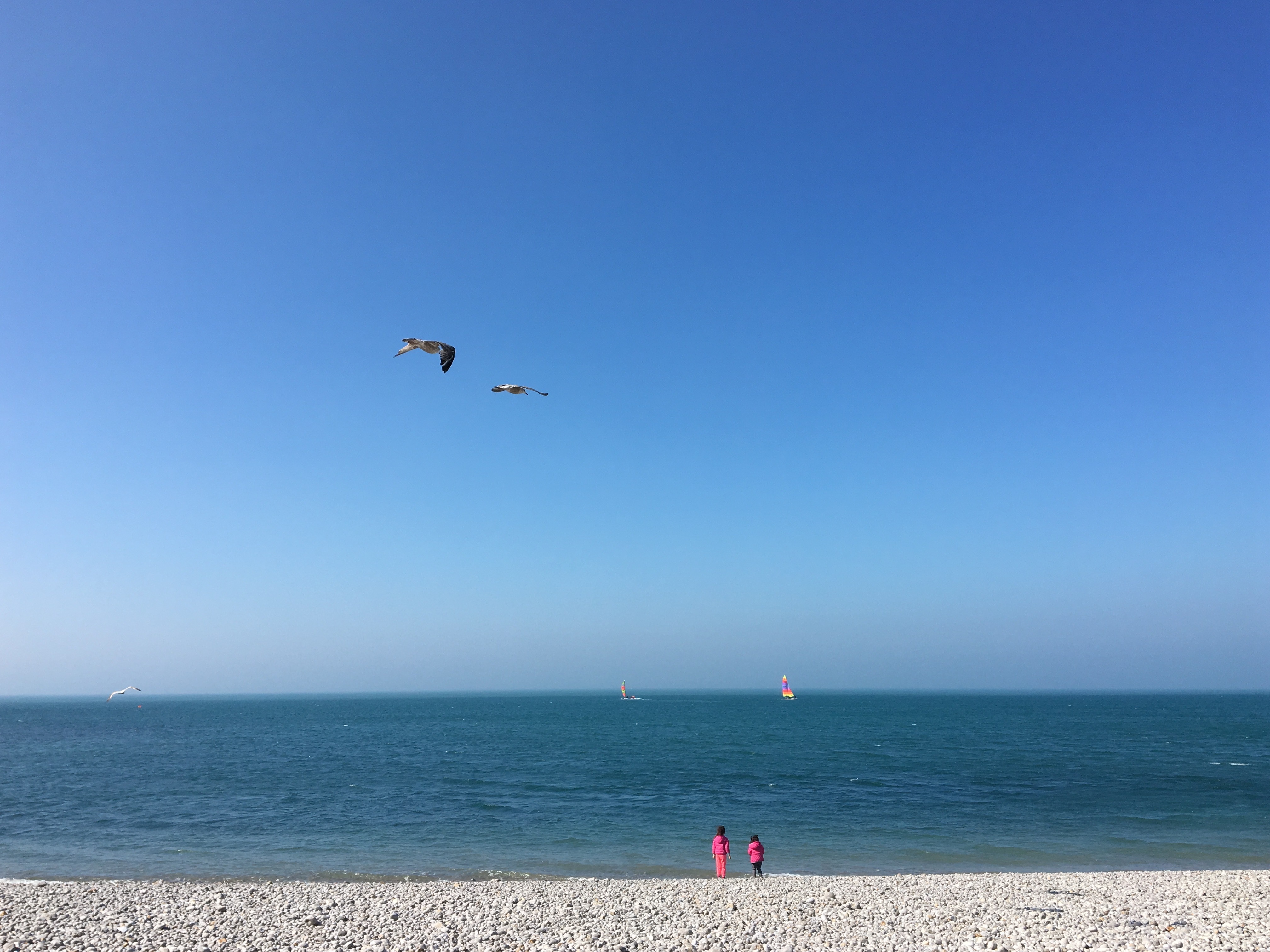Sea Ocean Girls free image download