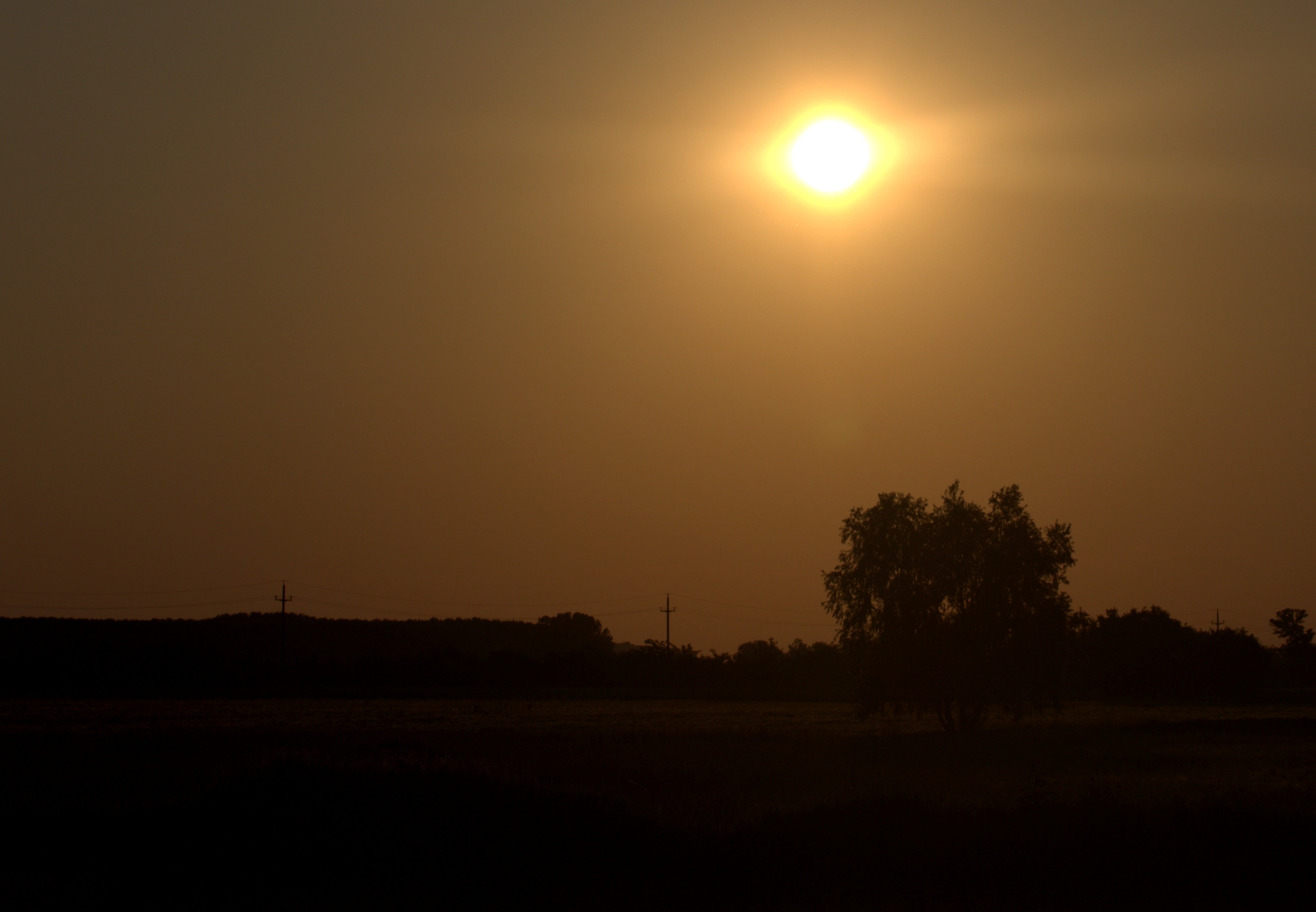 Sunset Sun Sky free image download