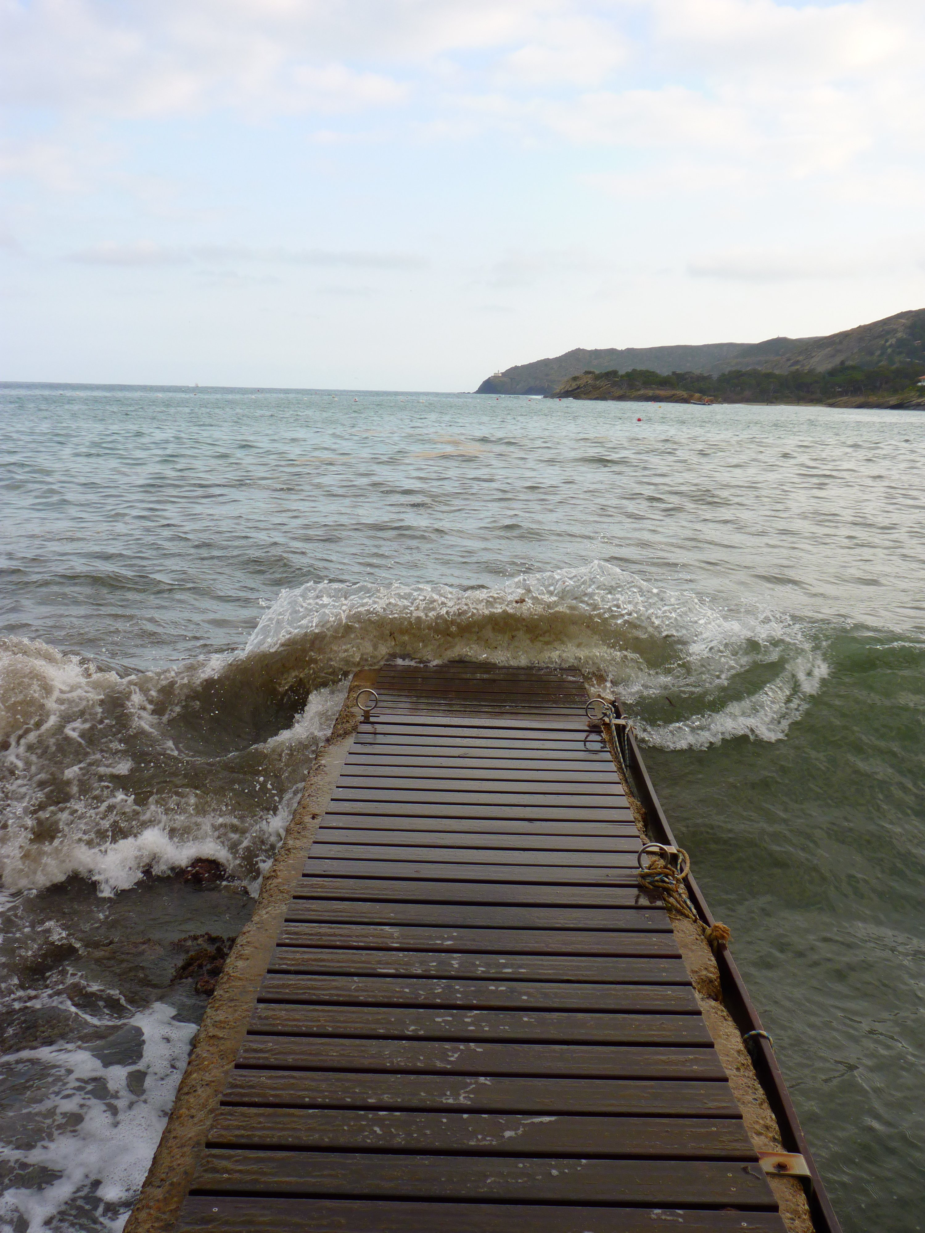 Sea Web Wave free image download