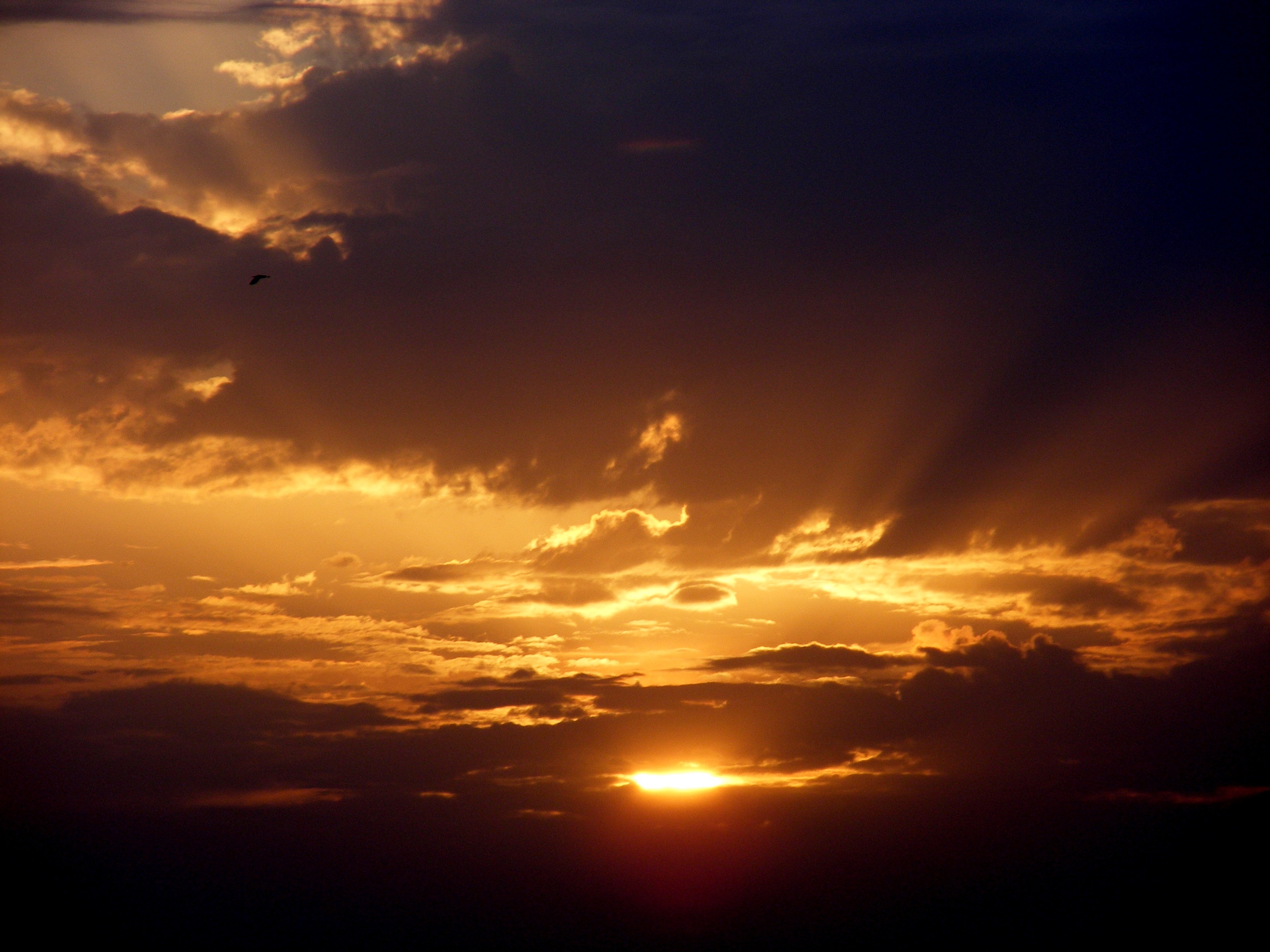 Sun East Sky free image download