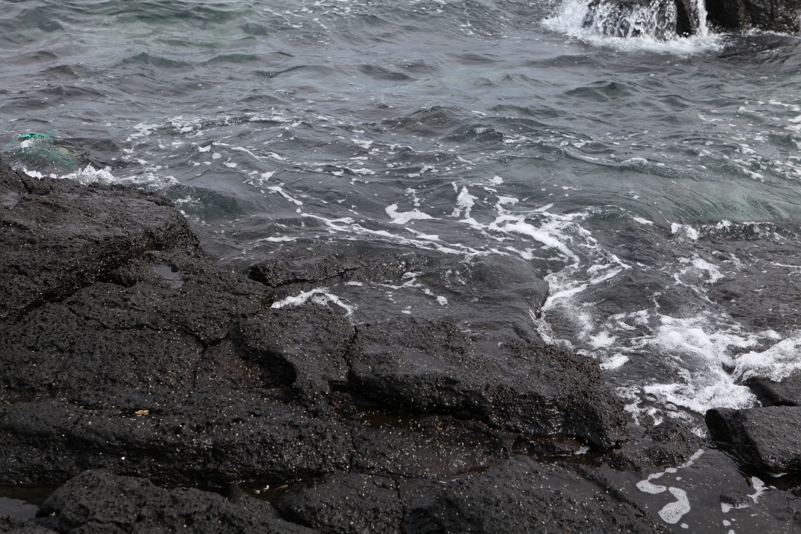 Sea Basalt Jeju Island free image download