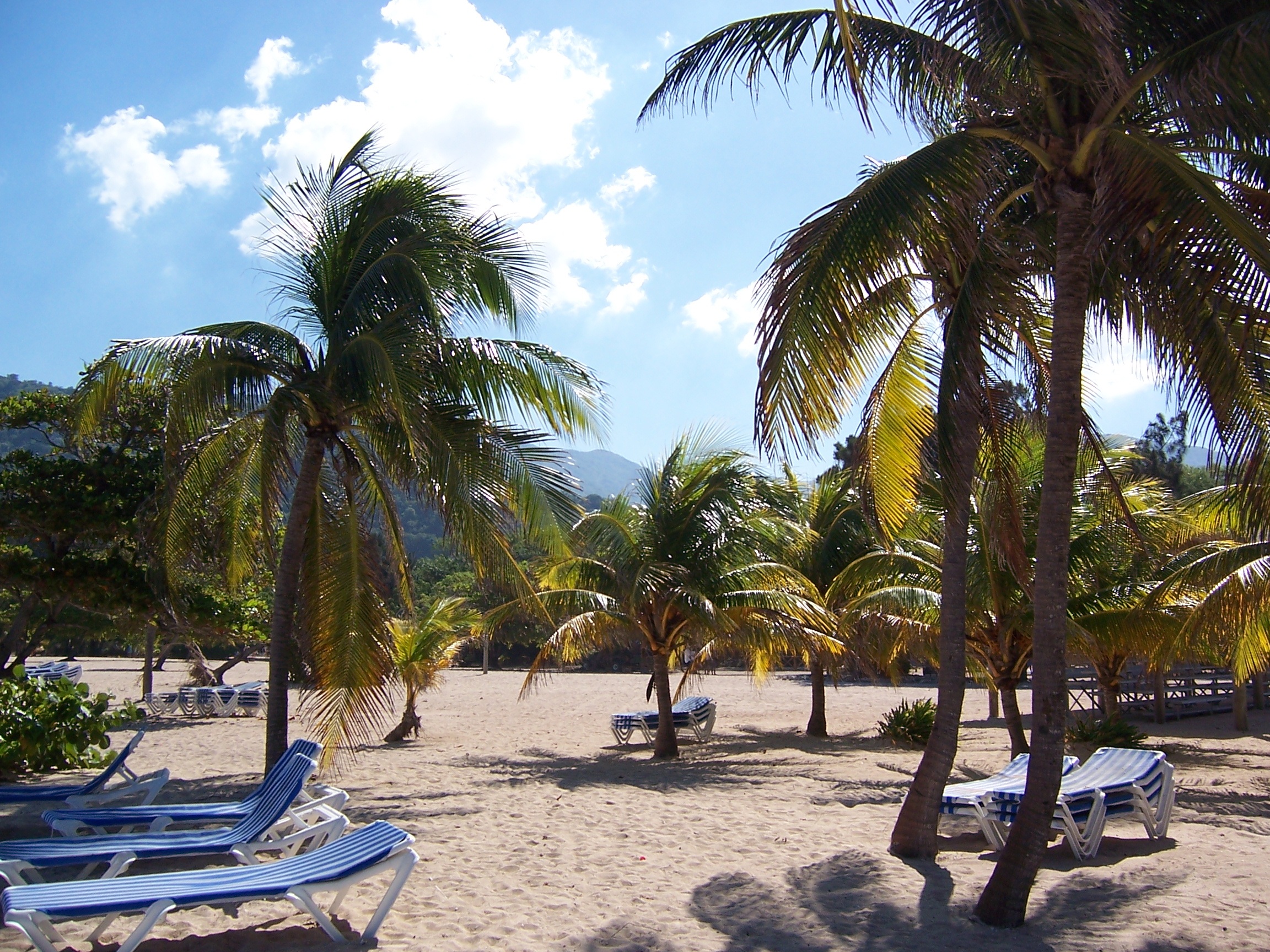 Beach Vacation Summer free image download