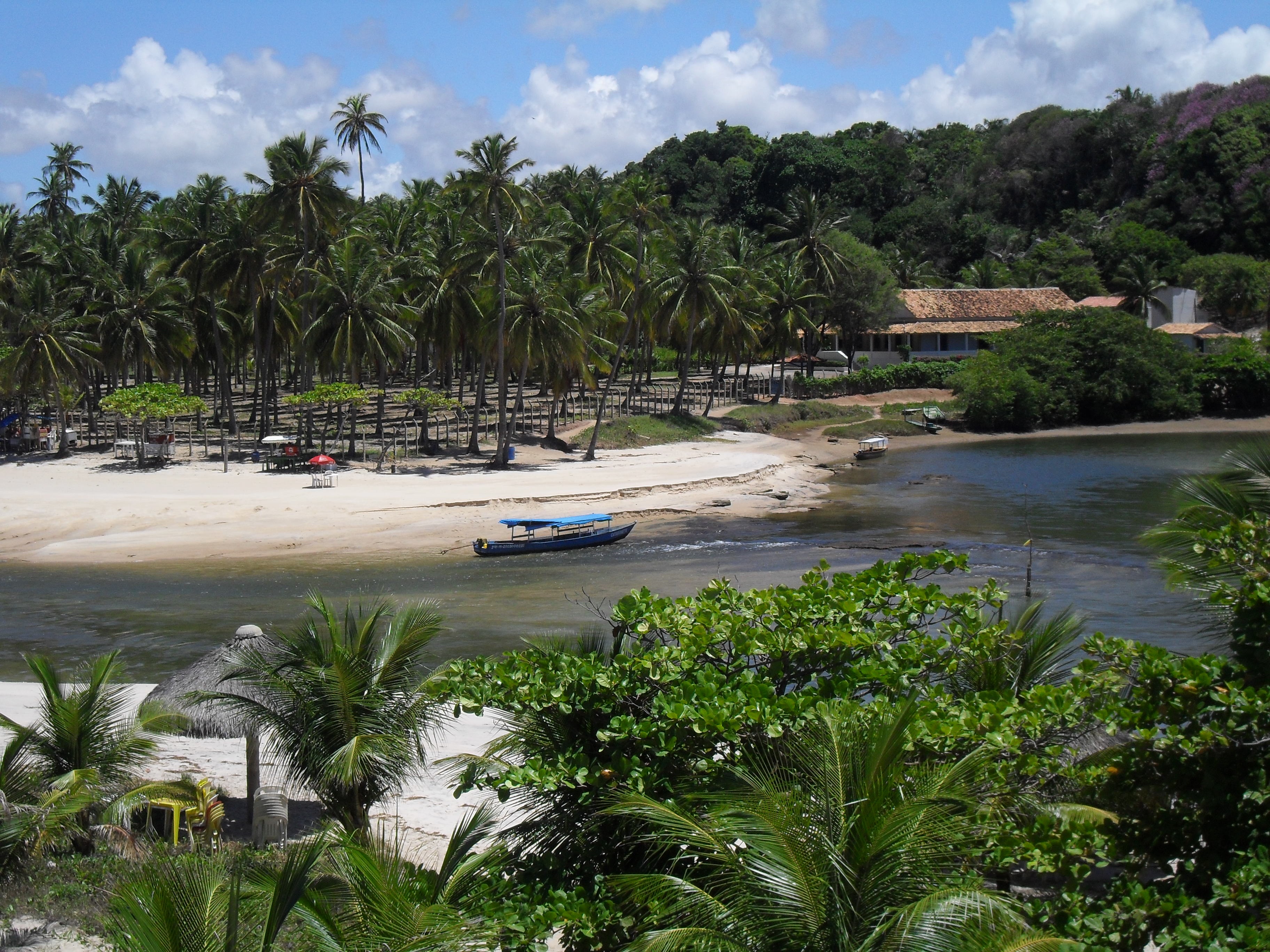 Nature Brazil Sky free image download