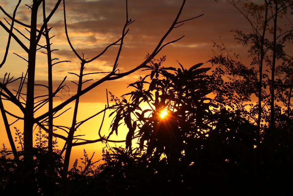 Sunset Evening Reunion Island free image download