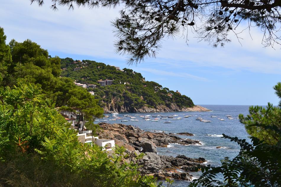 Sea Side Rock free image download