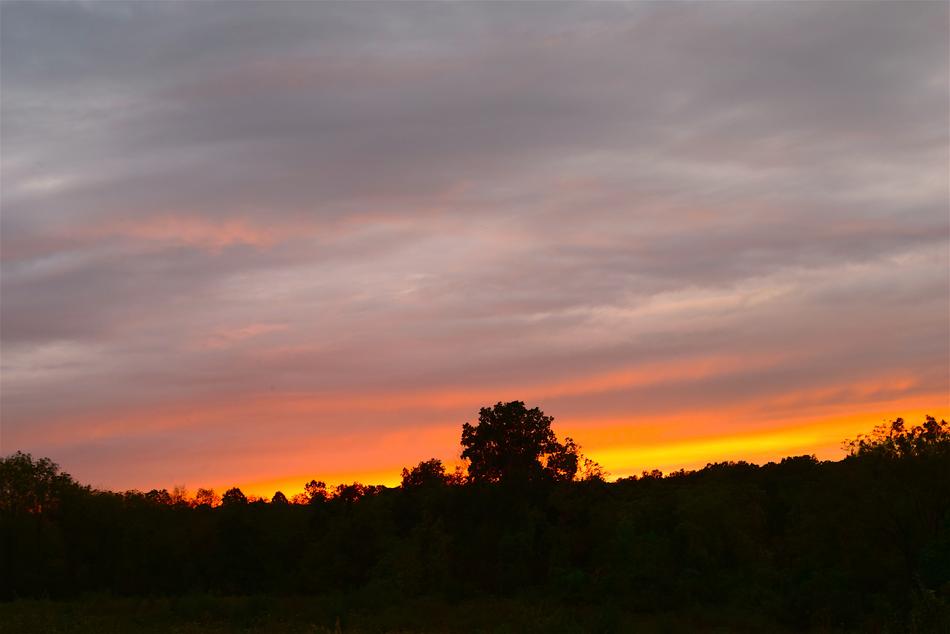 Sunset Sky Trees free image download