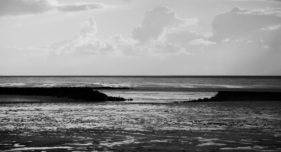 North Sea Landscape free image download