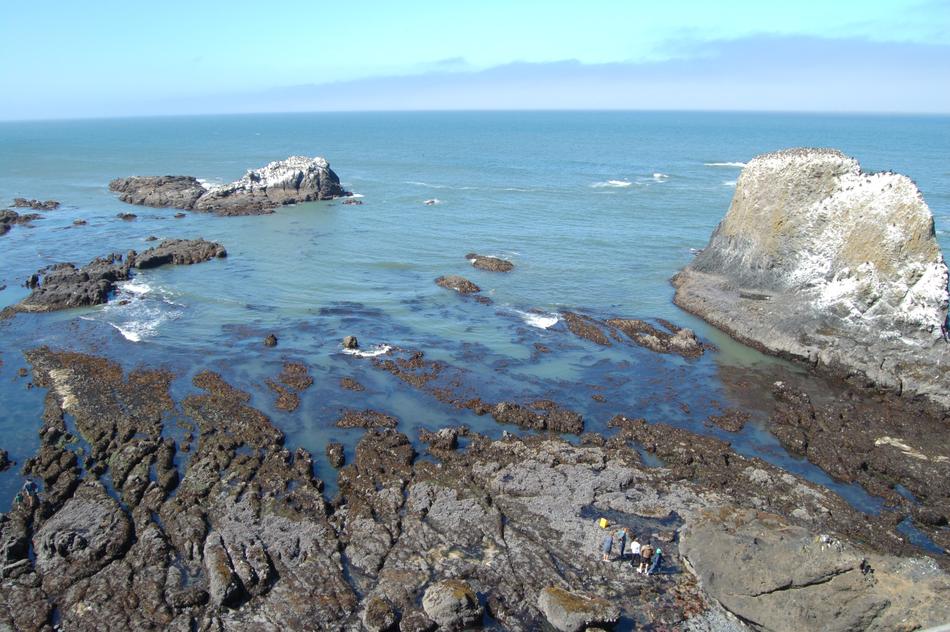 Oregon Pacific Ocean free image download