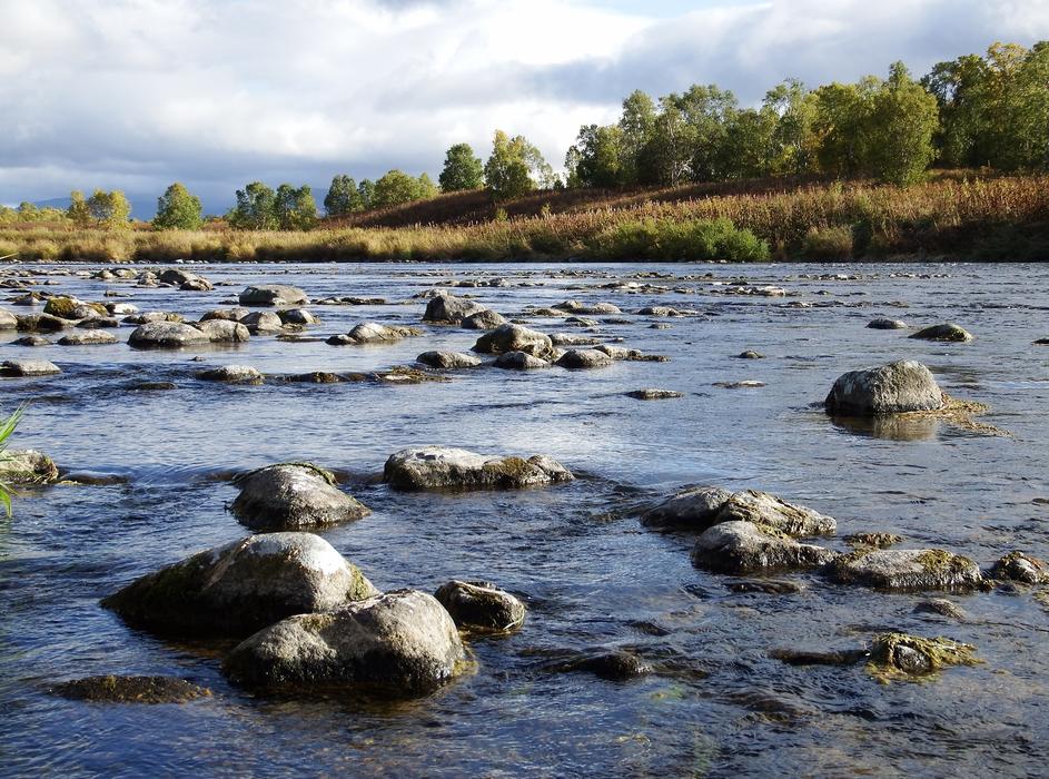 River Back On Track scenery free image download