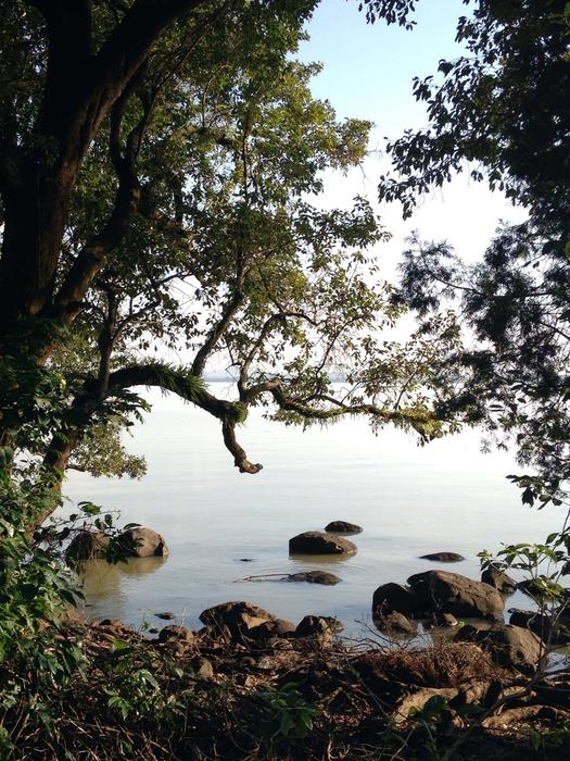 Lake Bank Idyll free image download