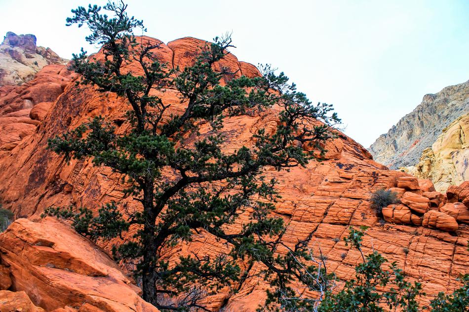 Utah Red Rocks free image download