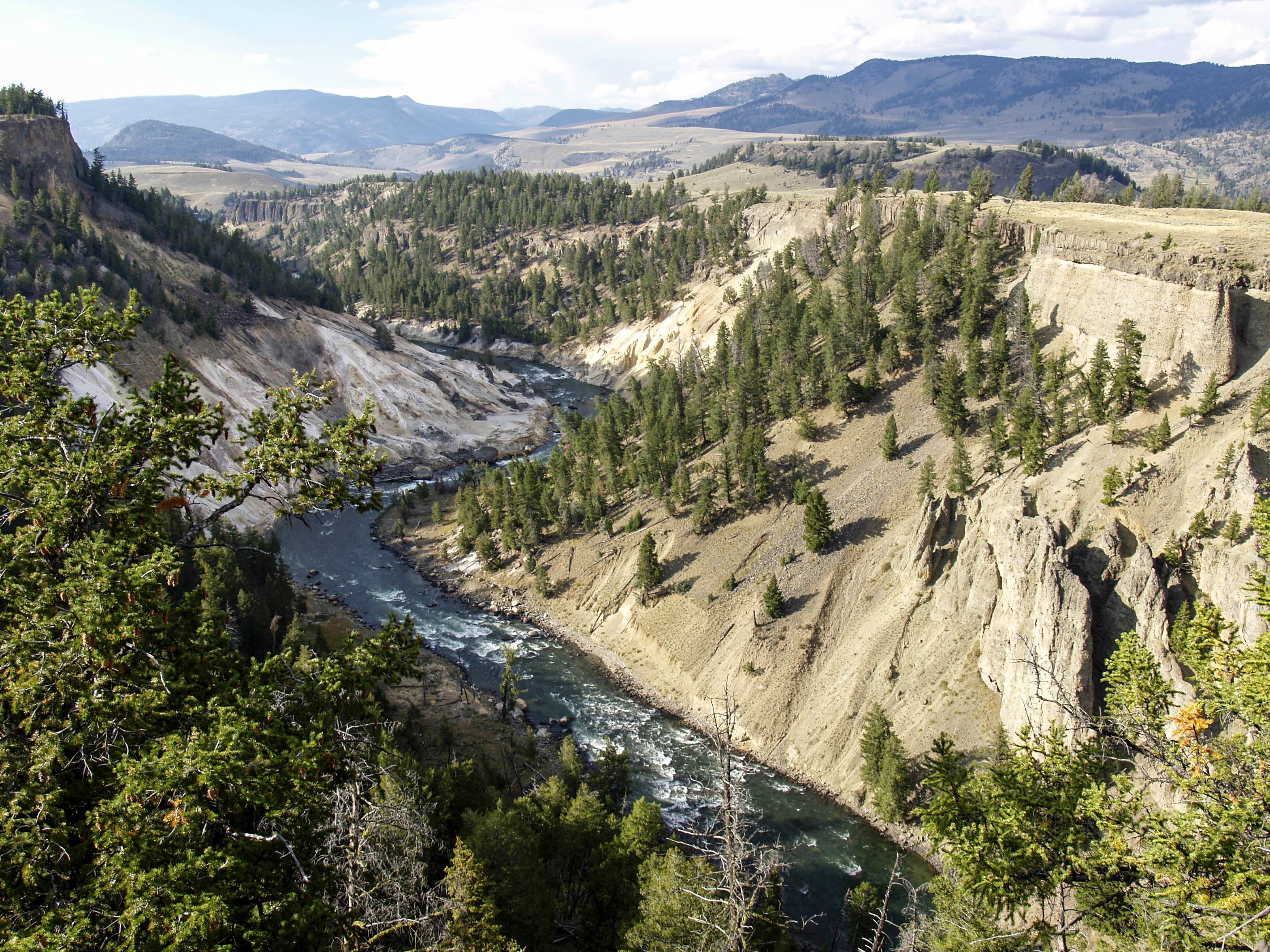 River Yellowstone National Park scenic view free image download