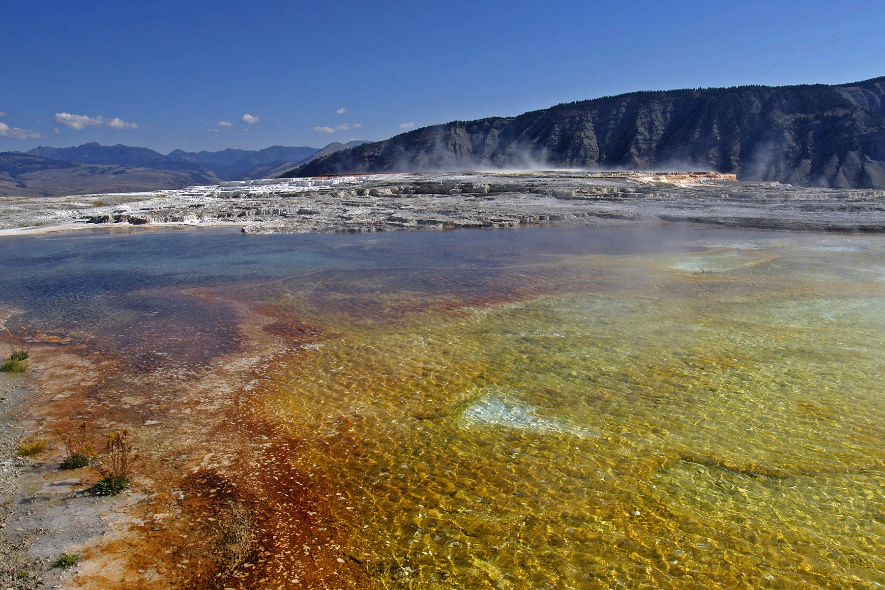 Colorful Yellowstone National Park free image download
