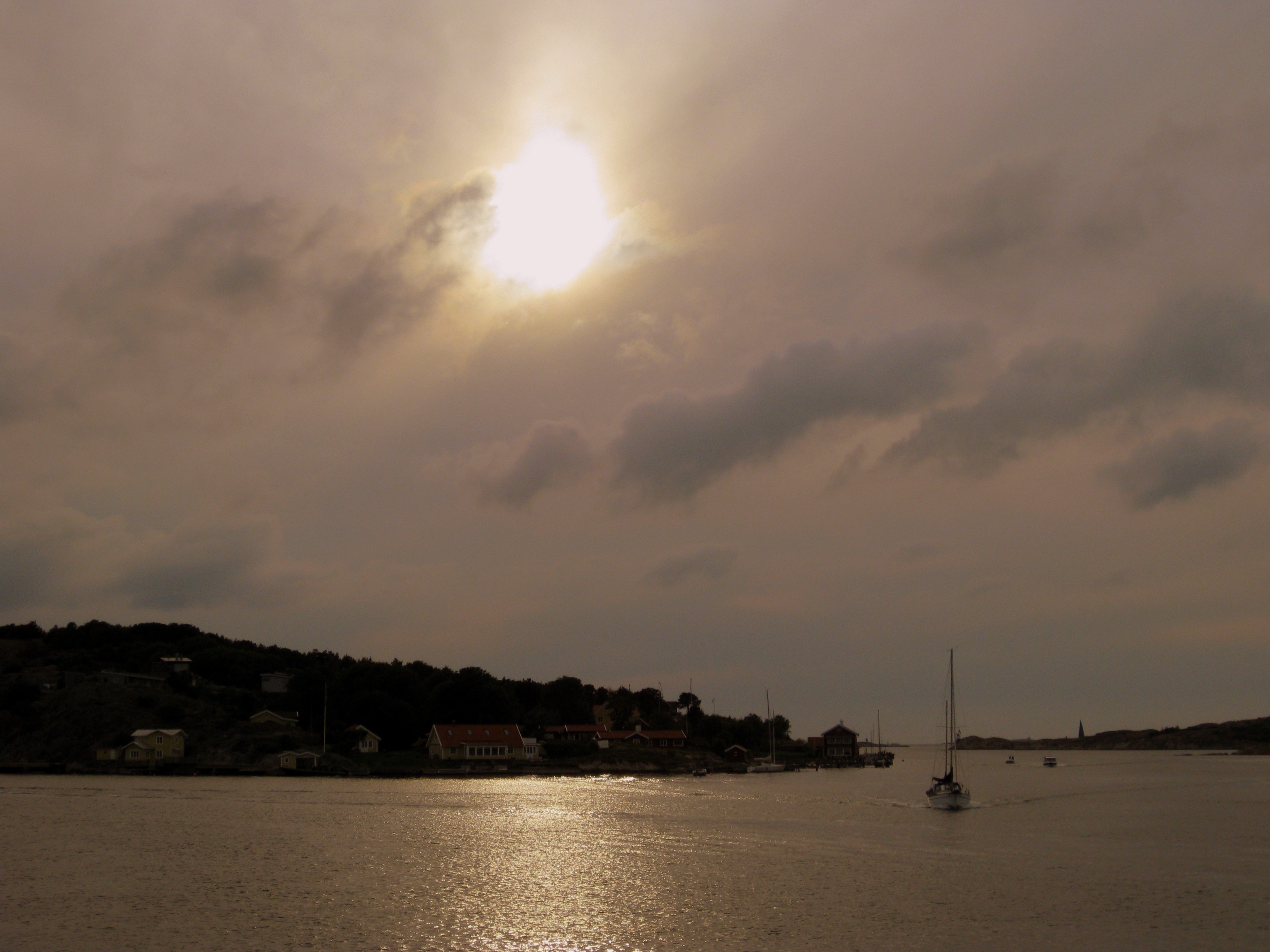 Sailor Sailing Boat Ocean free image download
