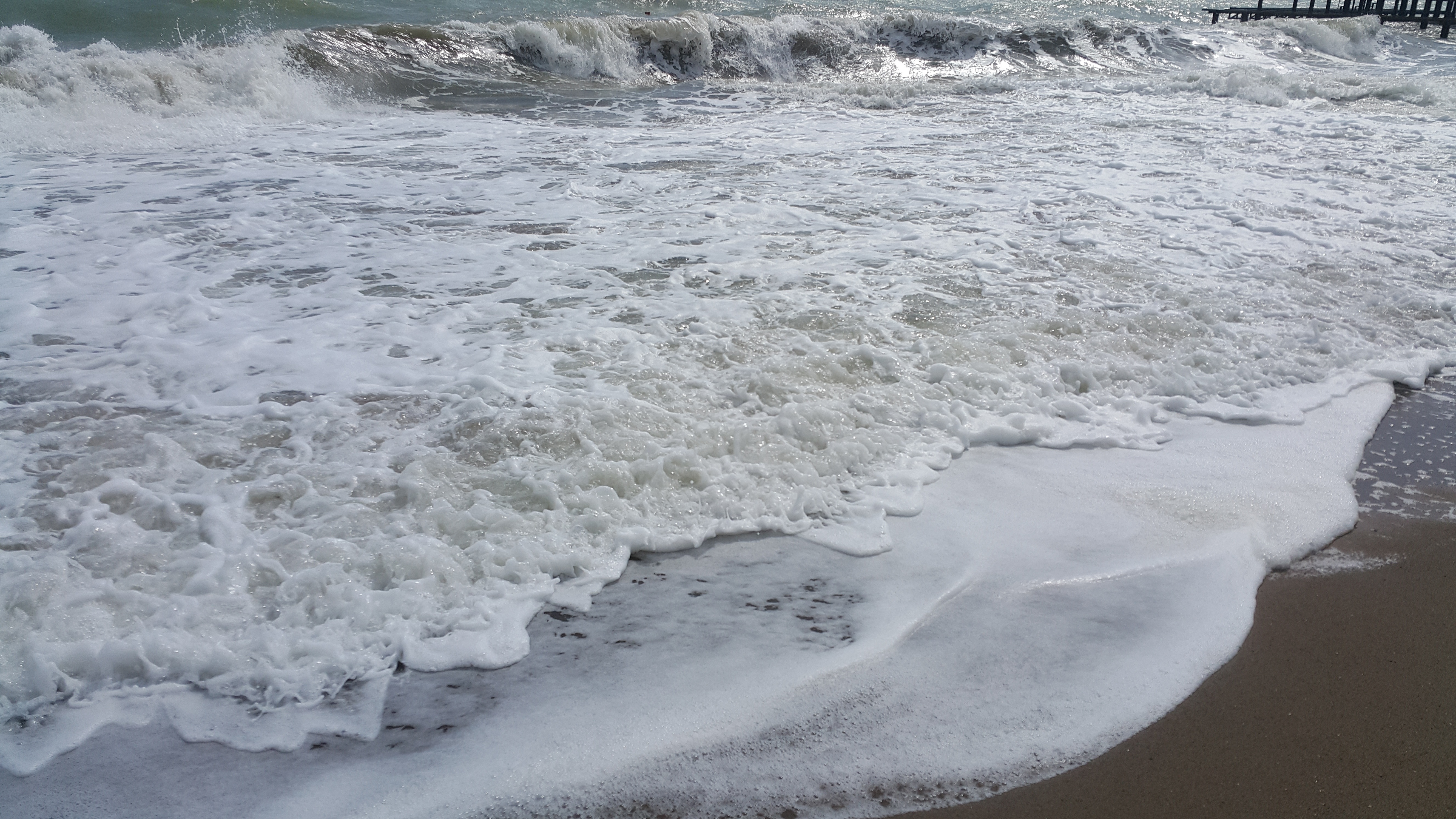 Sea Seaside Beach free image download