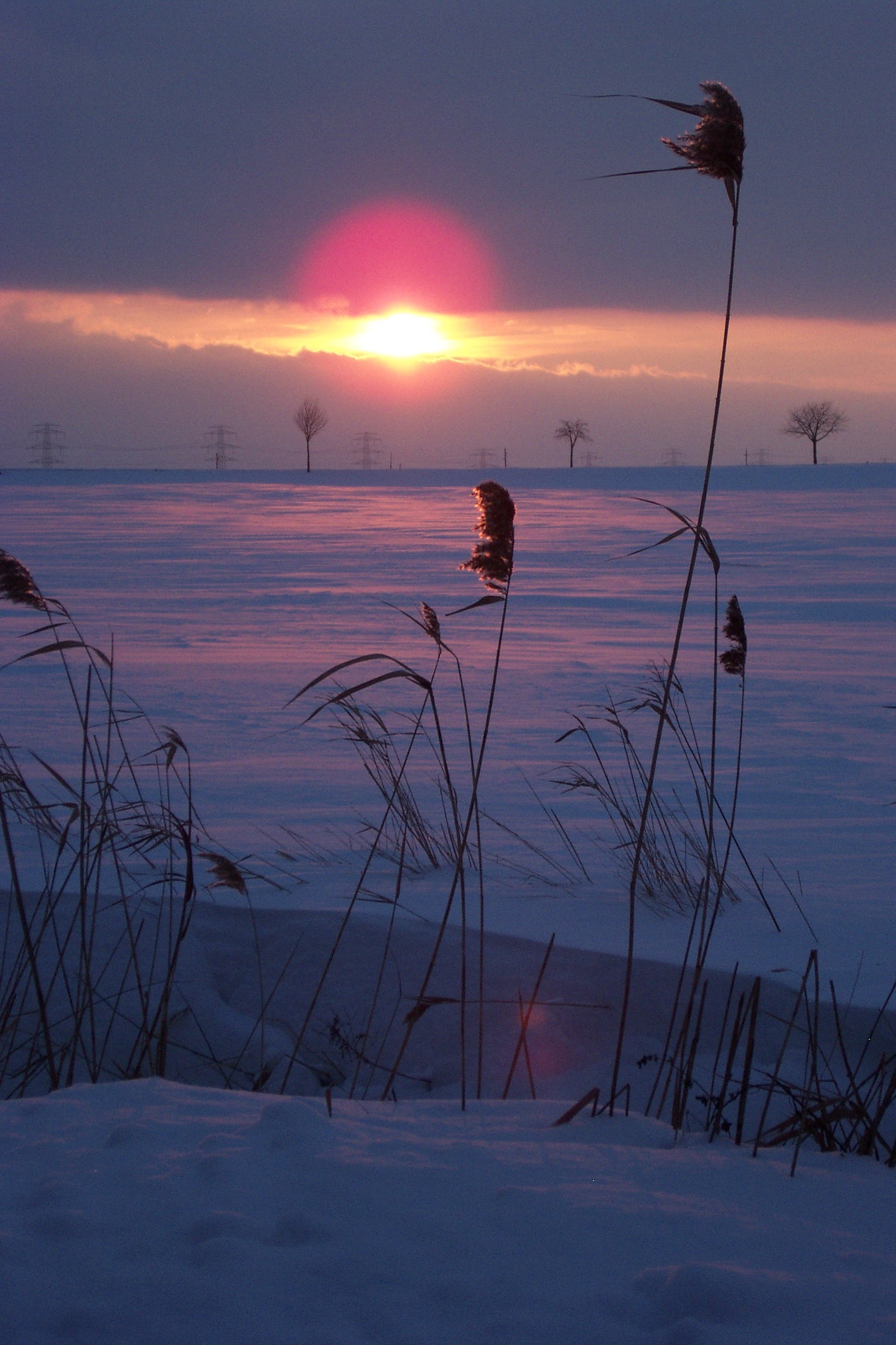 Winter Snow Sunset free image download