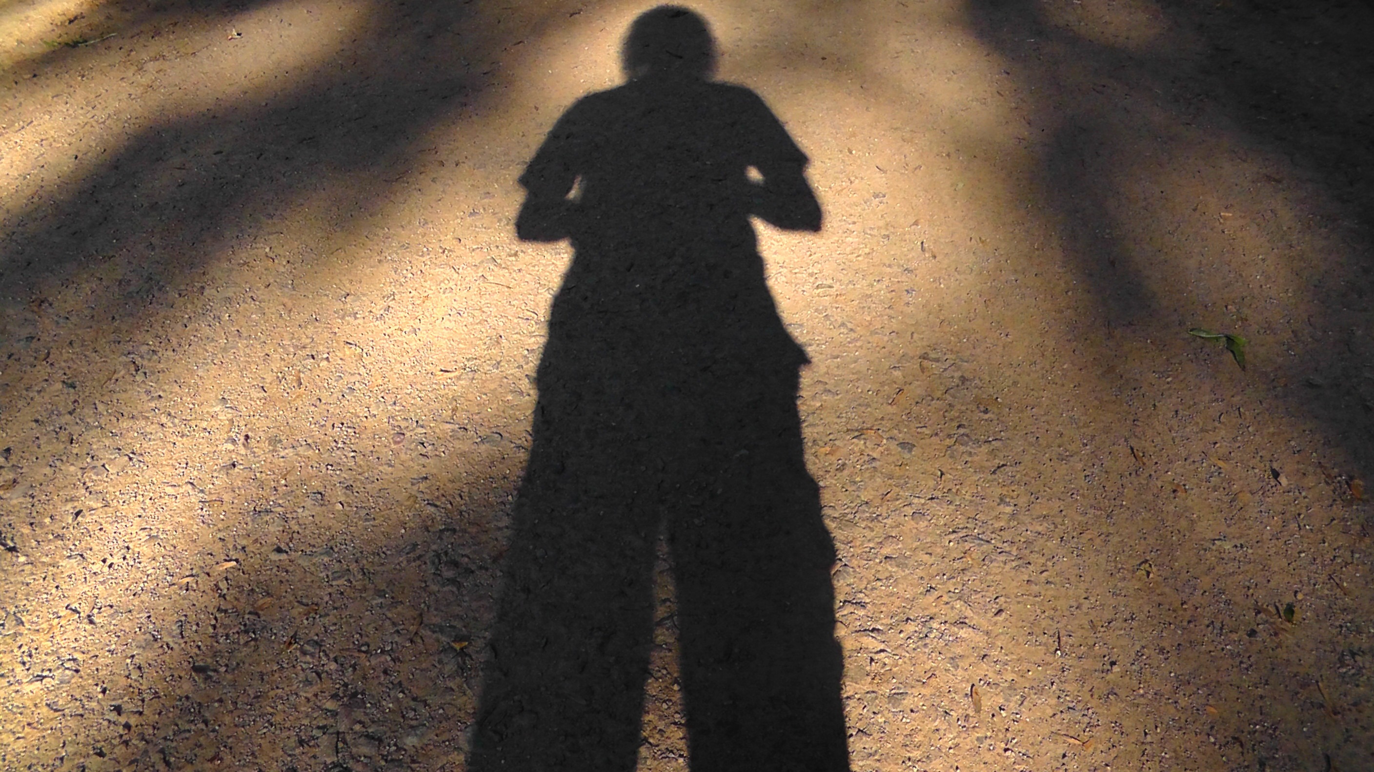 Shadow Play Light free image download