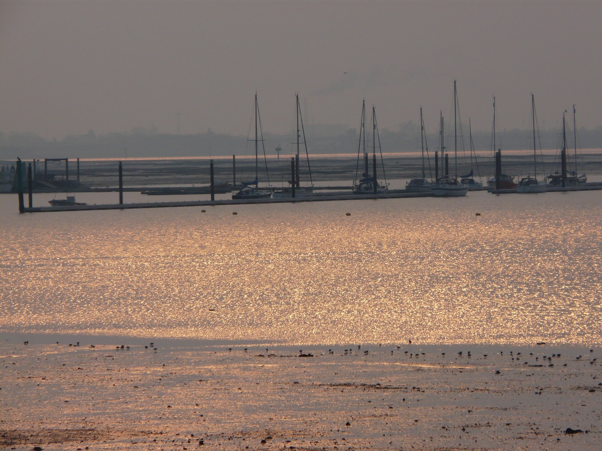 Morning Early Sun free image download