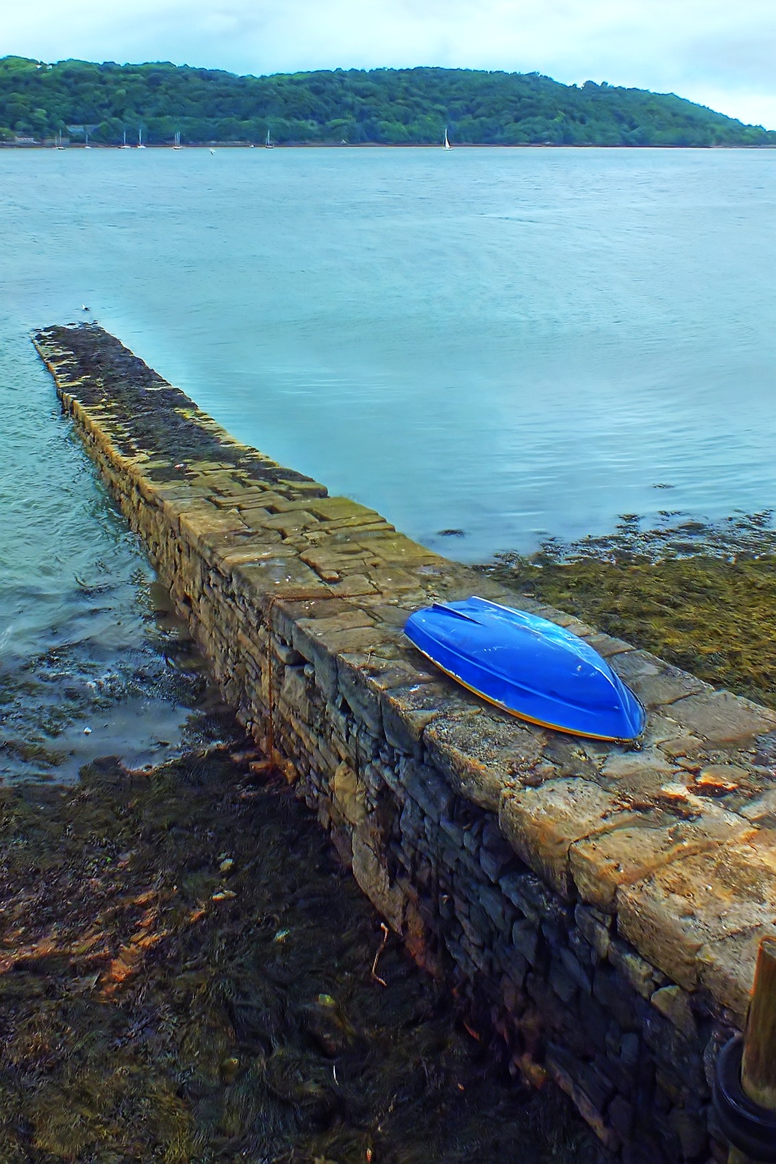 Boat Sea shore pier free image download