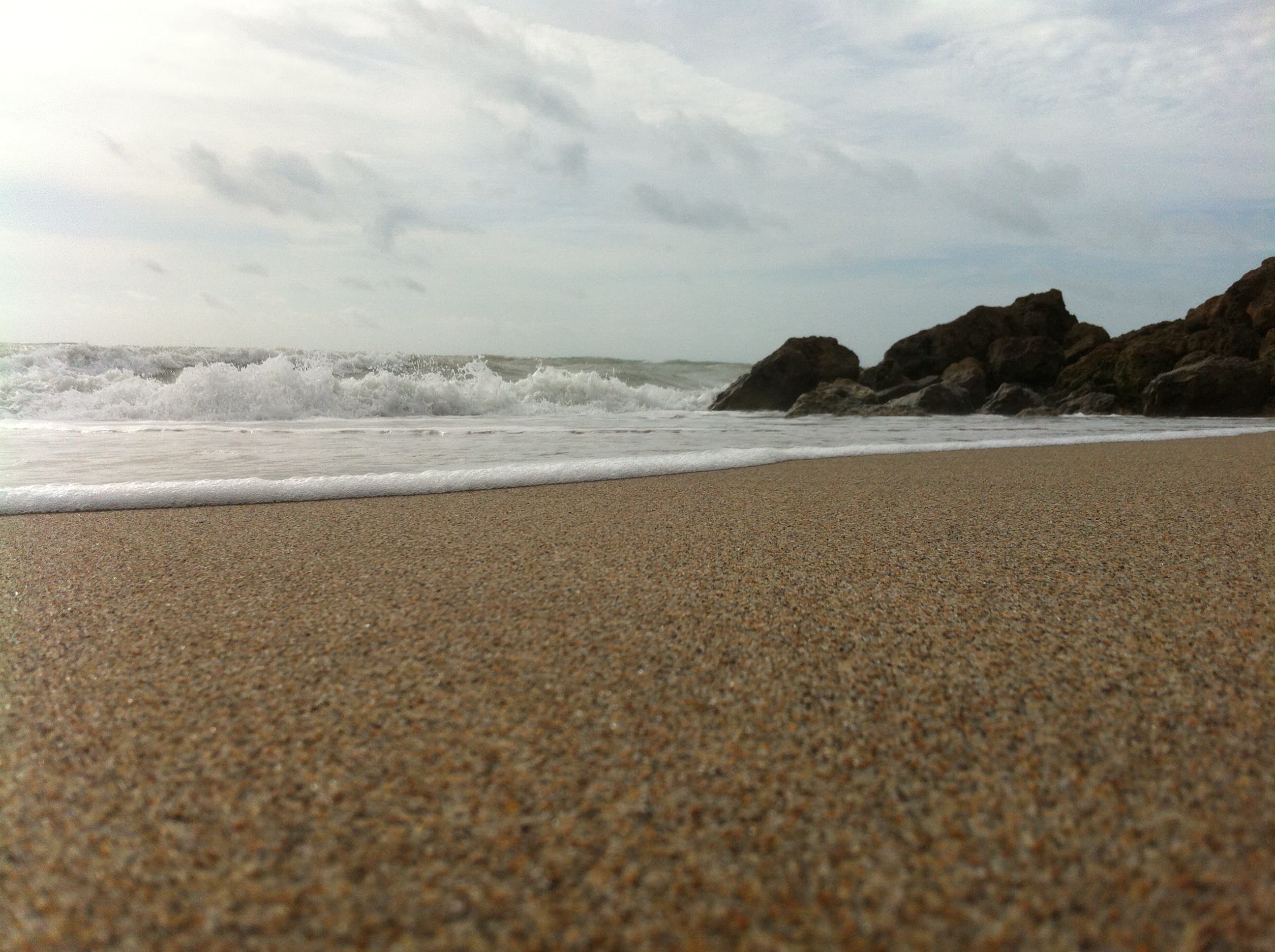 Surf Ocean Sea free image download