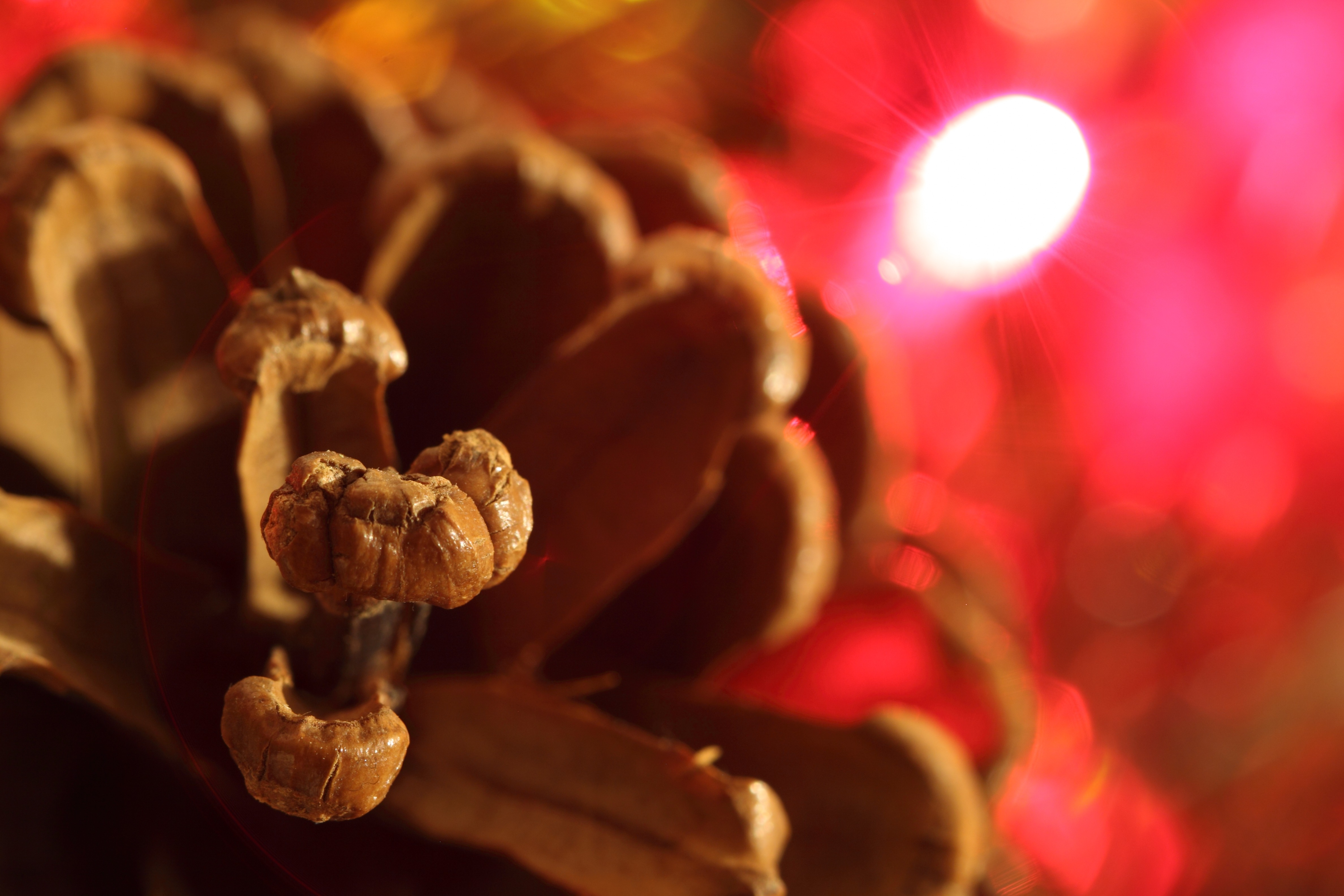 Christmas Cone Decoration free image download