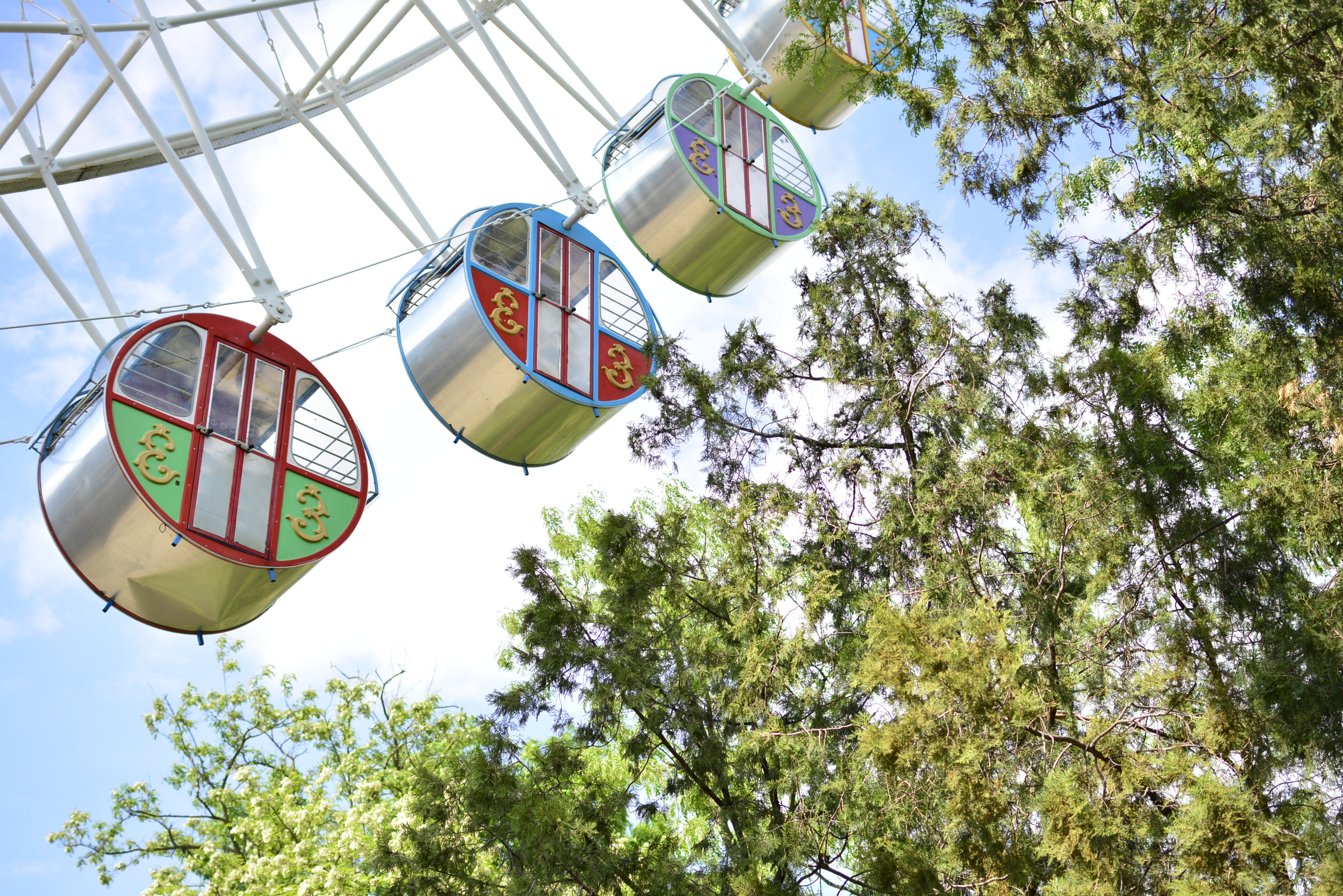 Ferris Wheel Park in Summer free image download