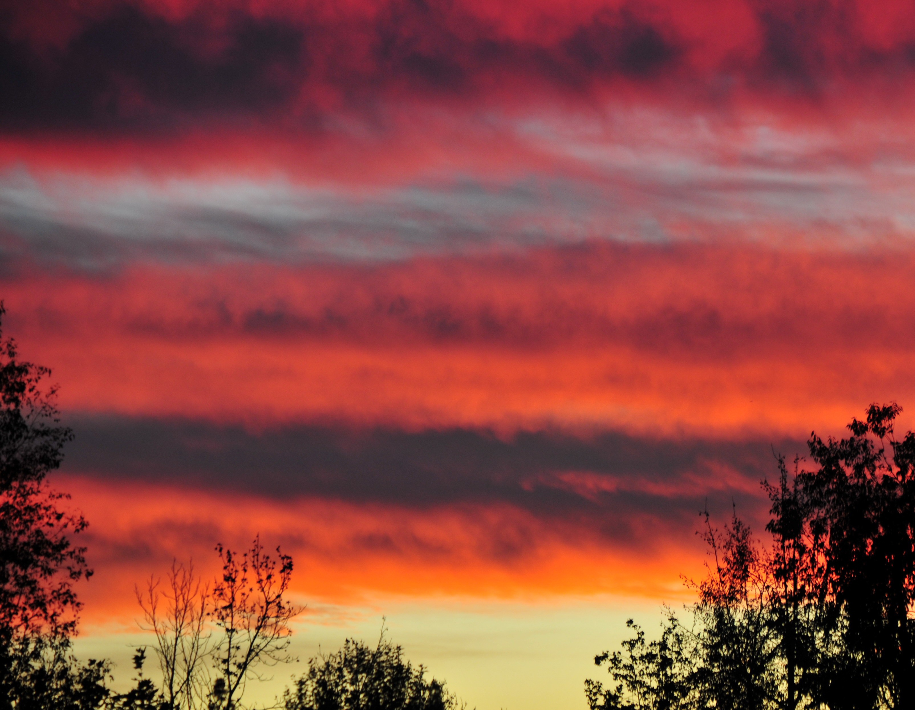 Sunset Red Sky free image download