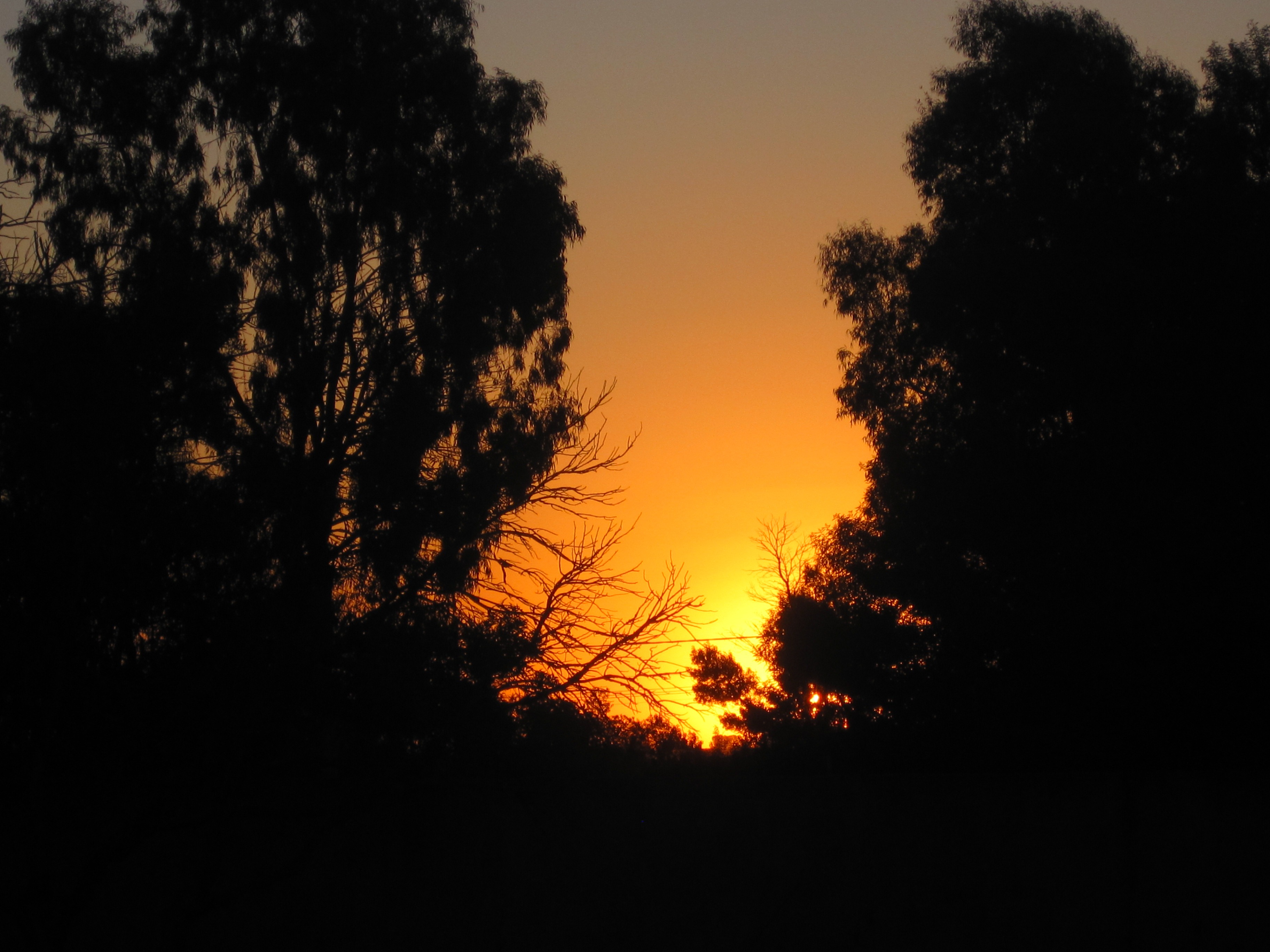 Bright yellow Sunset Sundown free image download
