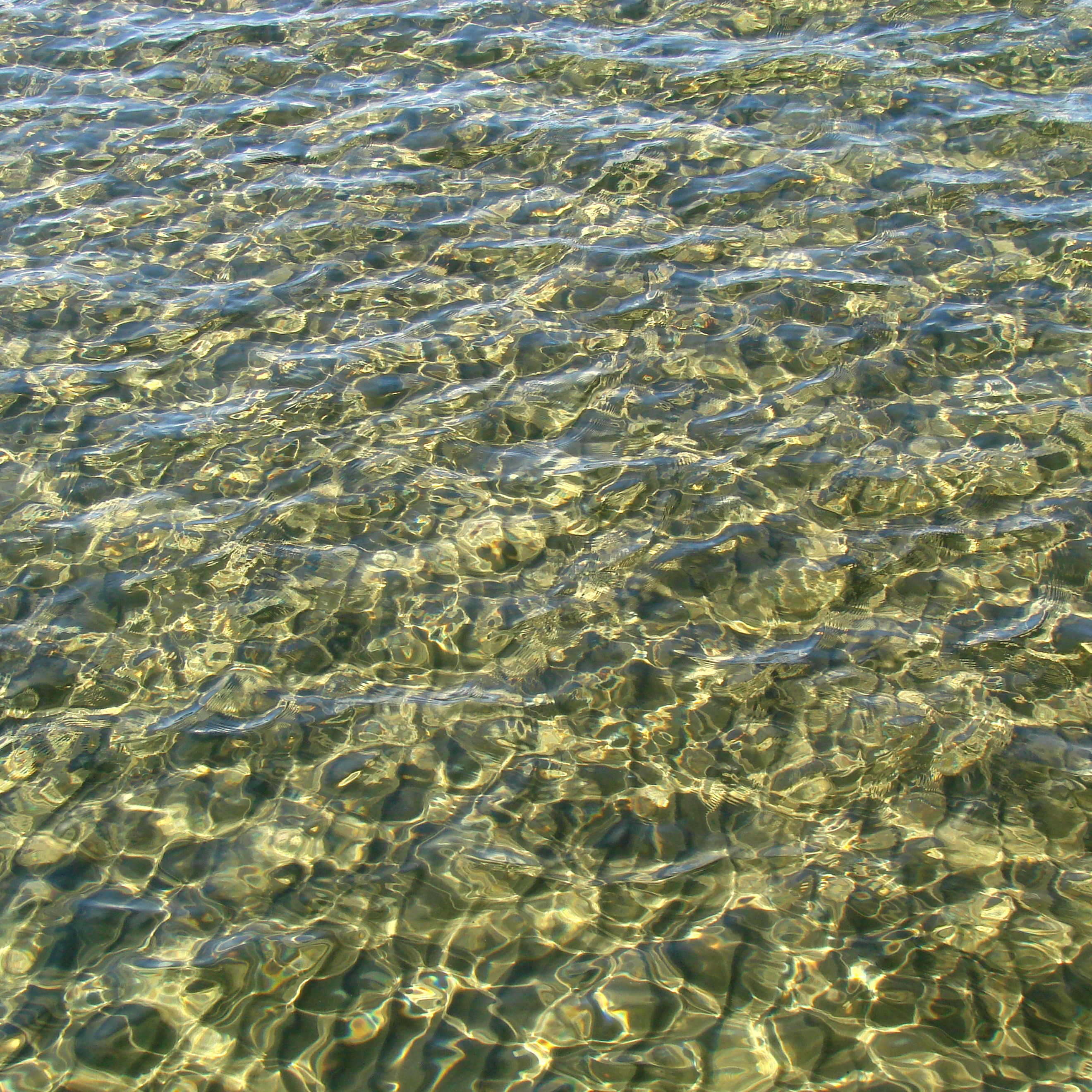 Shoreline Water Crisp free image download
