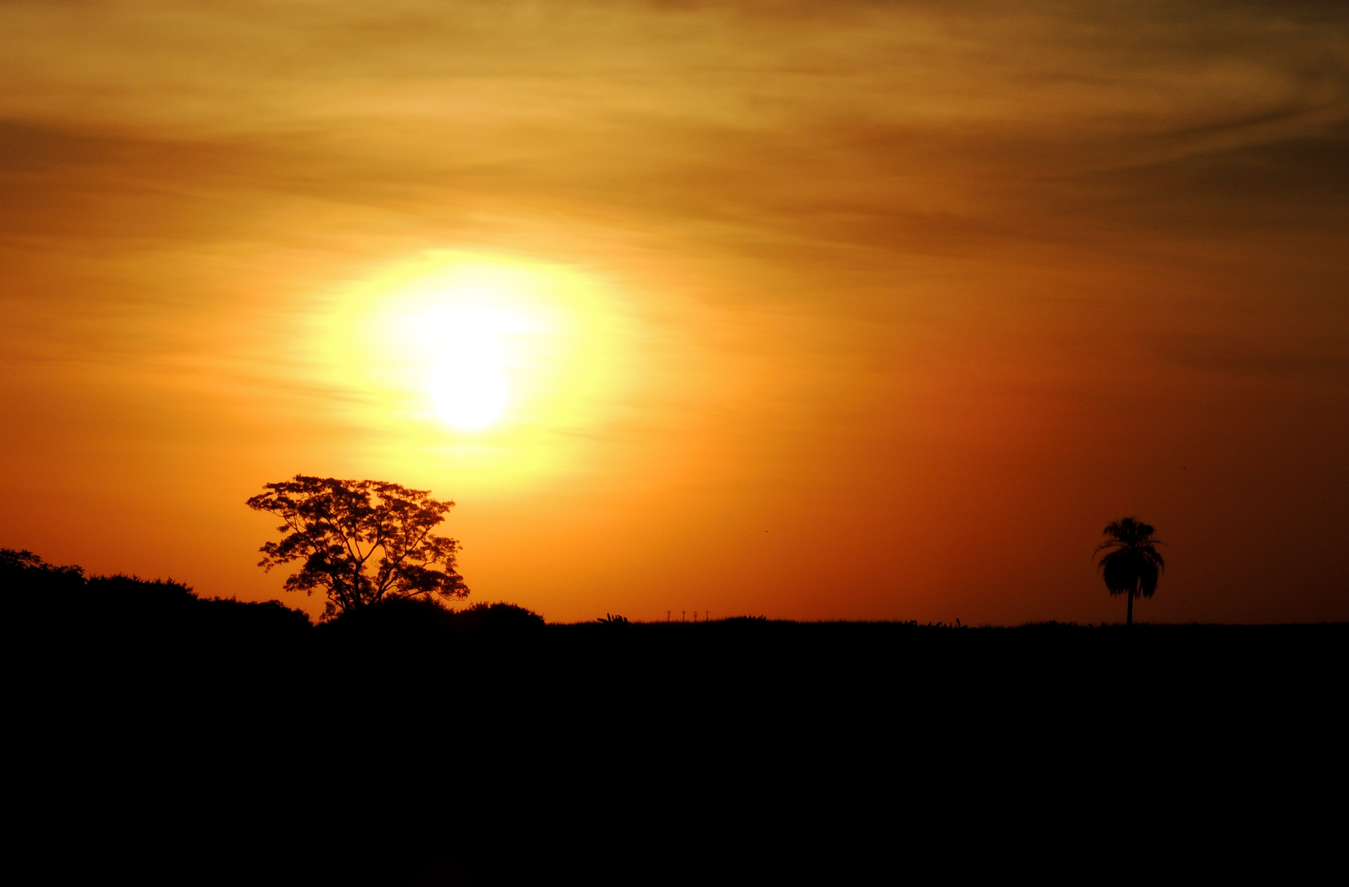 Sunset Against Light Clouds free image download