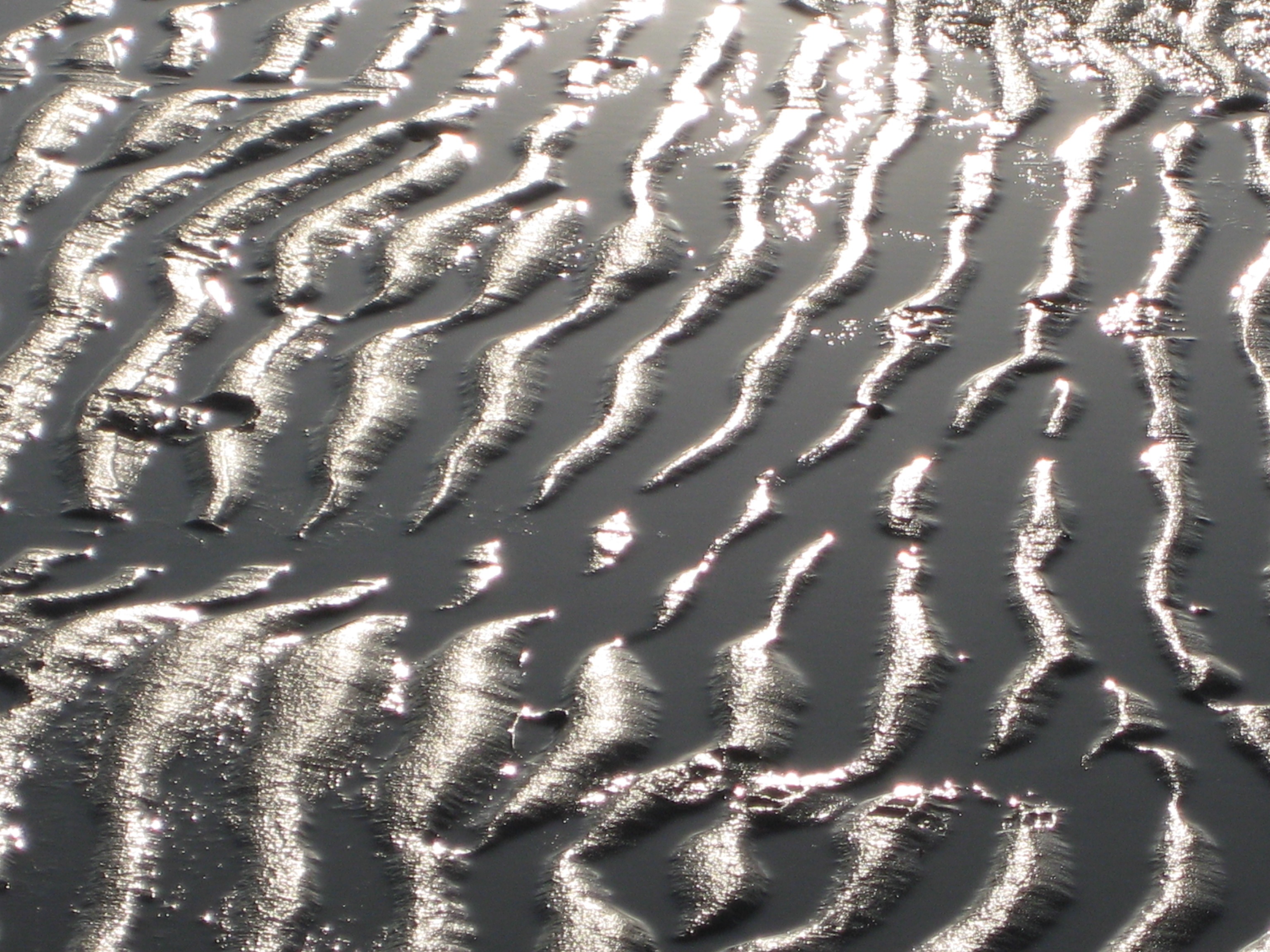 Ebb Beach Reprint free image download