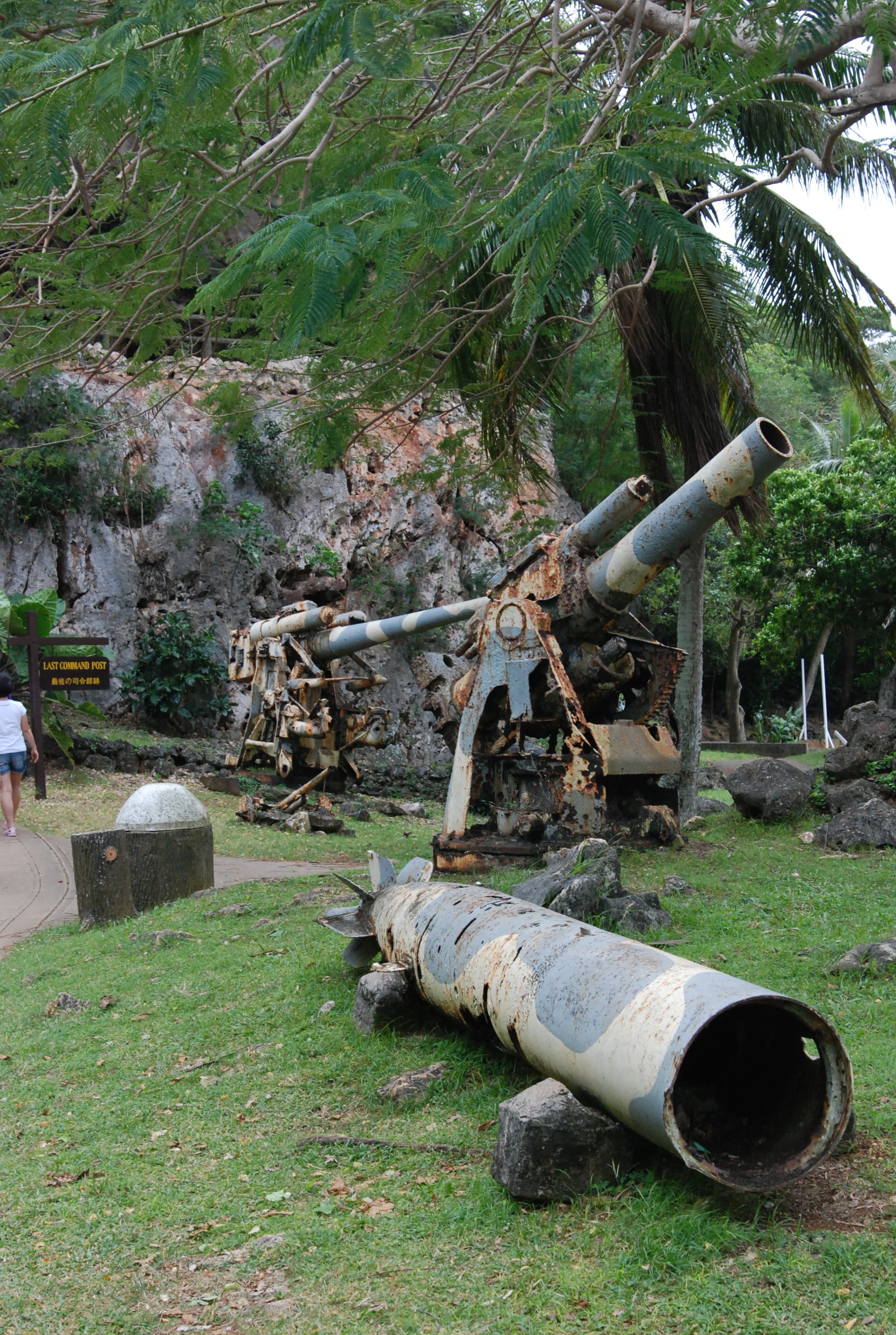 Cannon Artillery Rusted free image download