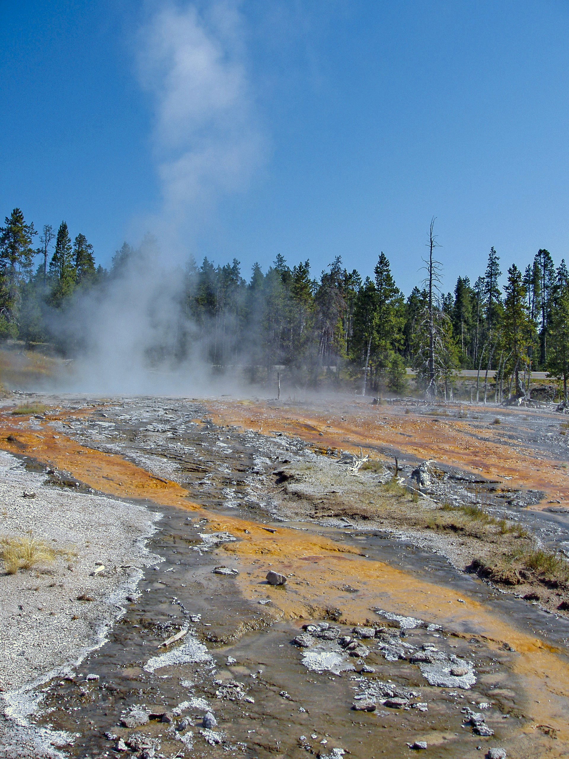 Scene of Yellowstone National Park in Wyoming free image download