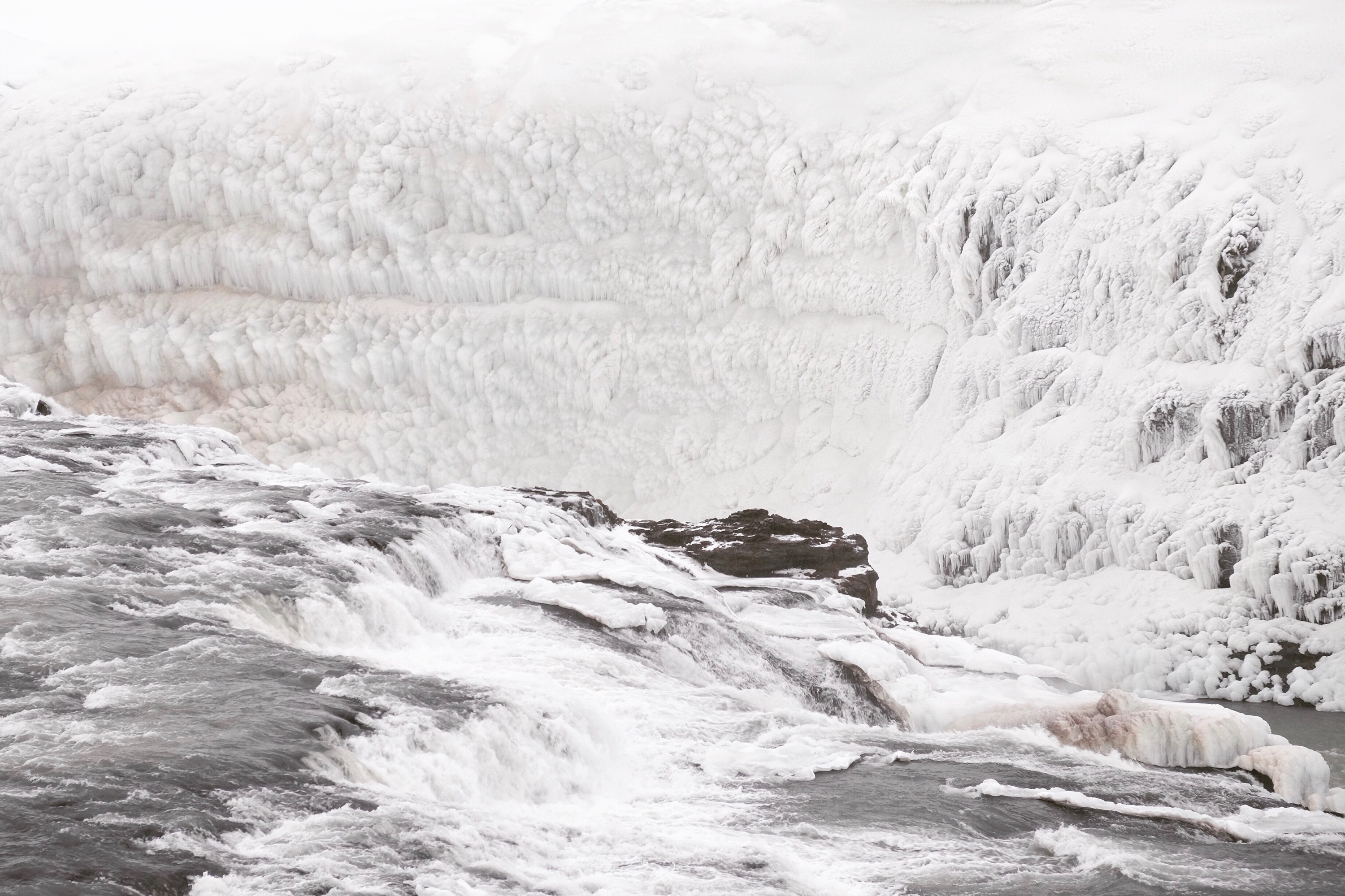 Snow Winter White free image download